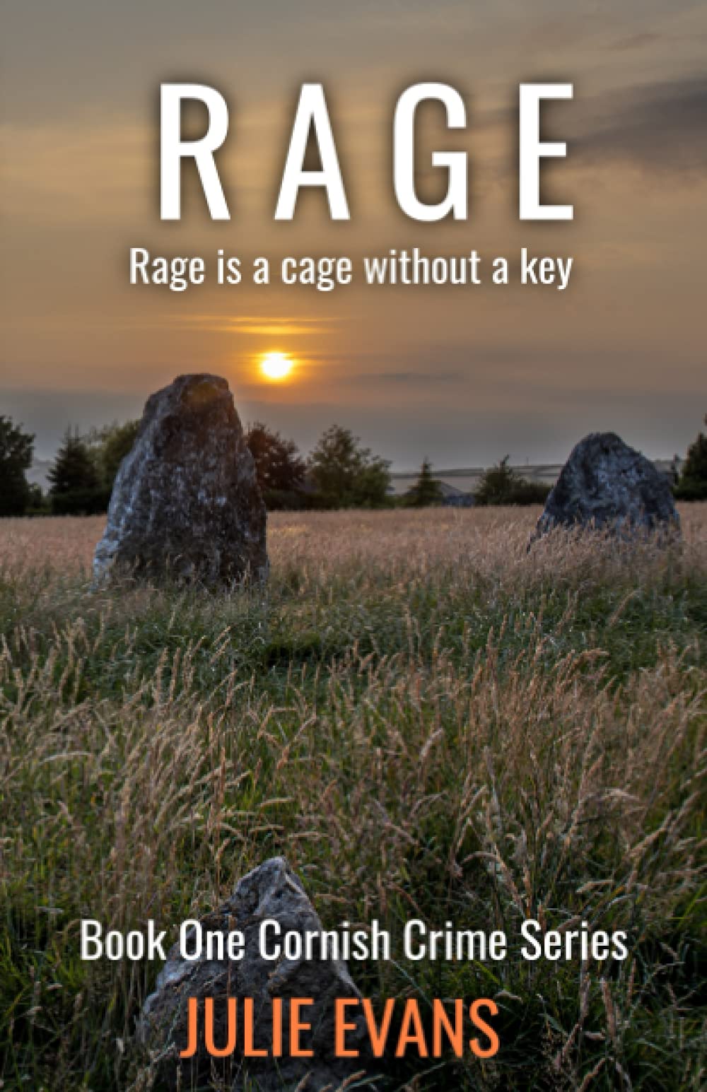 RAGE: CORNISH CRIME SERIES Book One: Rage is a cage without a key by ...
