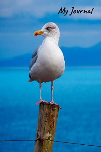 My Journal: Seagull on Post in the Sea cover, Blank Lined Notebook 6 x ...