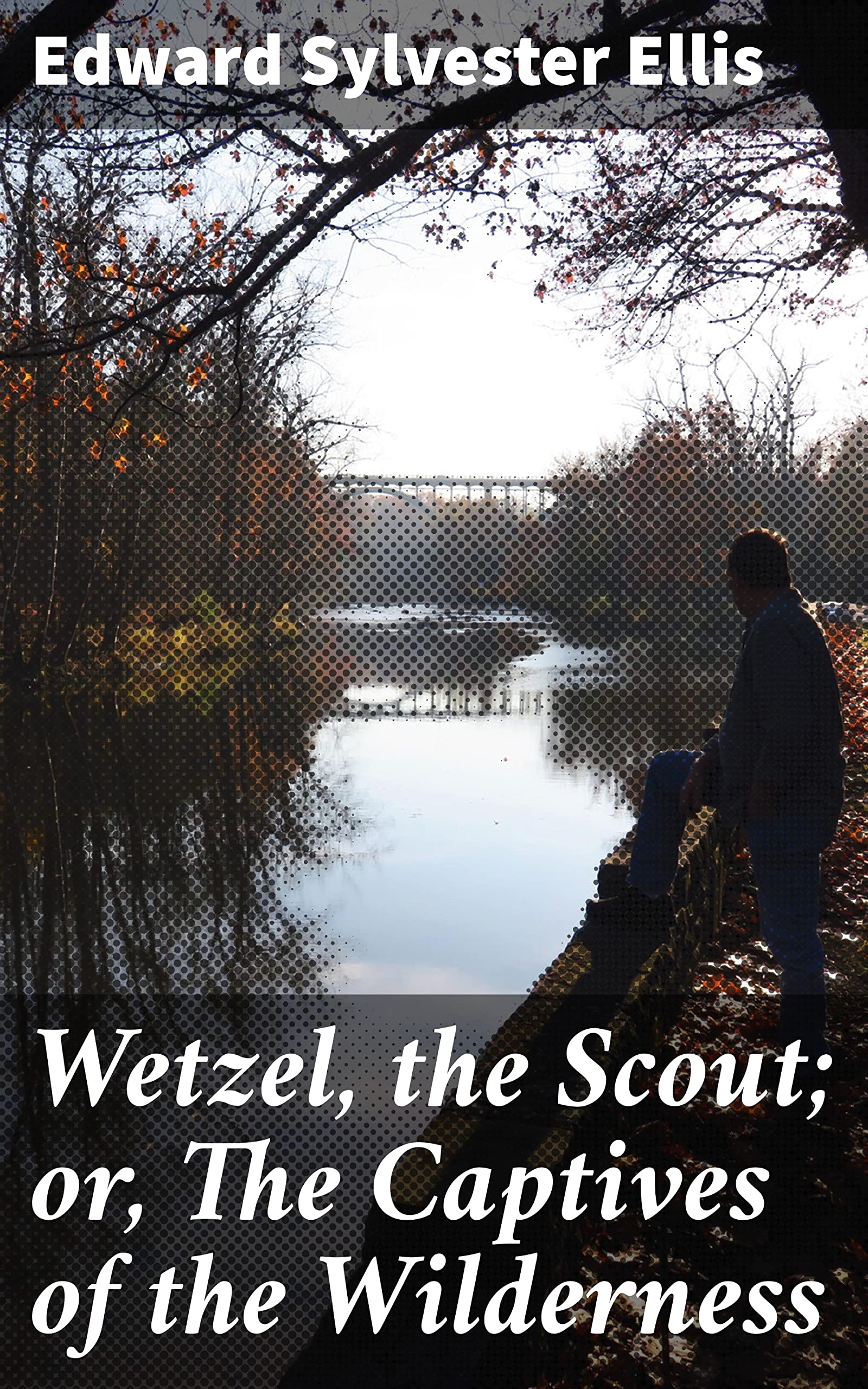 Wetzel, the Scout; or, The Captives of the Wilderness: Survival and ...