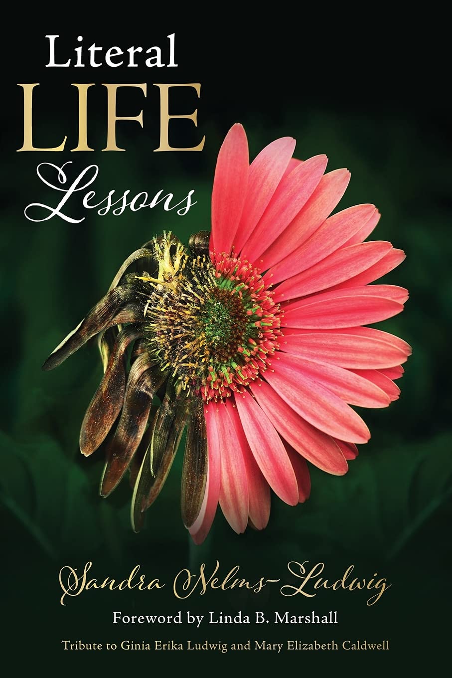 Literal LIFE Lessons by Sandra Nelms-ludwig | Goodreads