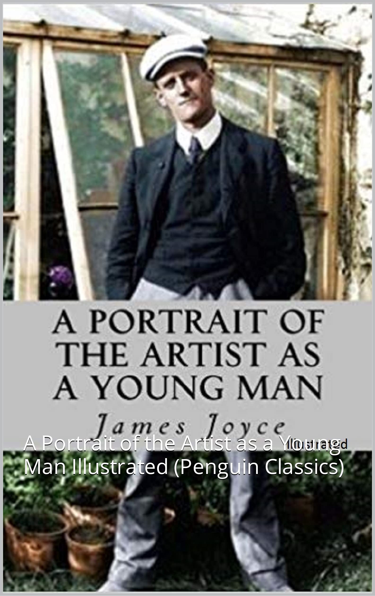 A Portrait of the Artist as a Young Man Illustrated: A Portrait of the ...
