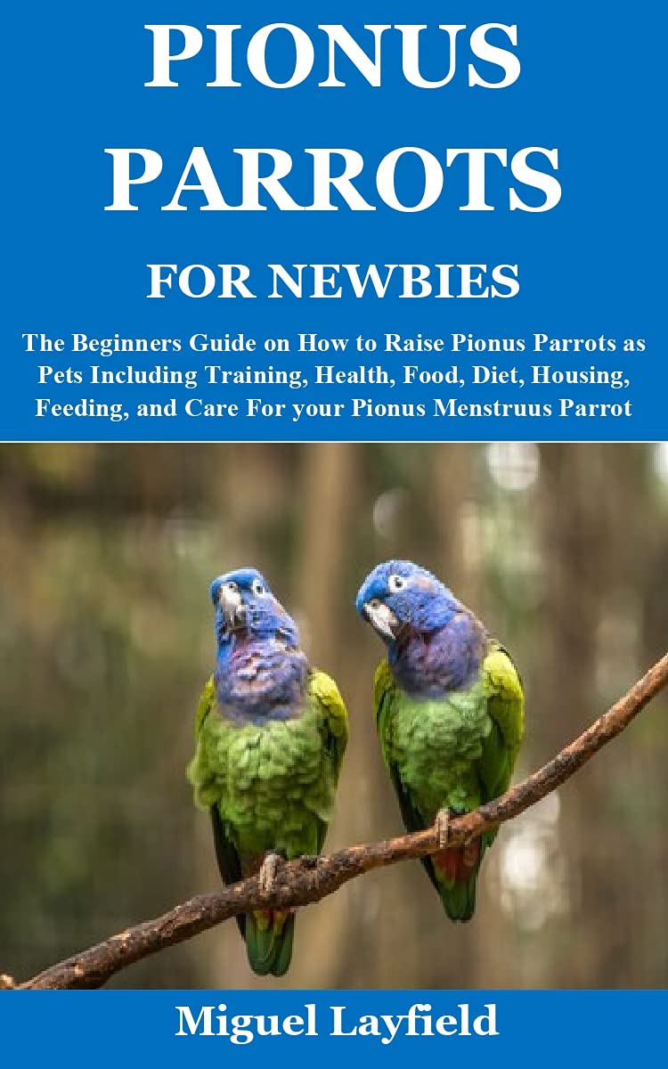 PIONUS PARROTS FOR NEWBIES: The Beginners Guide on How to Raise Pionus ...