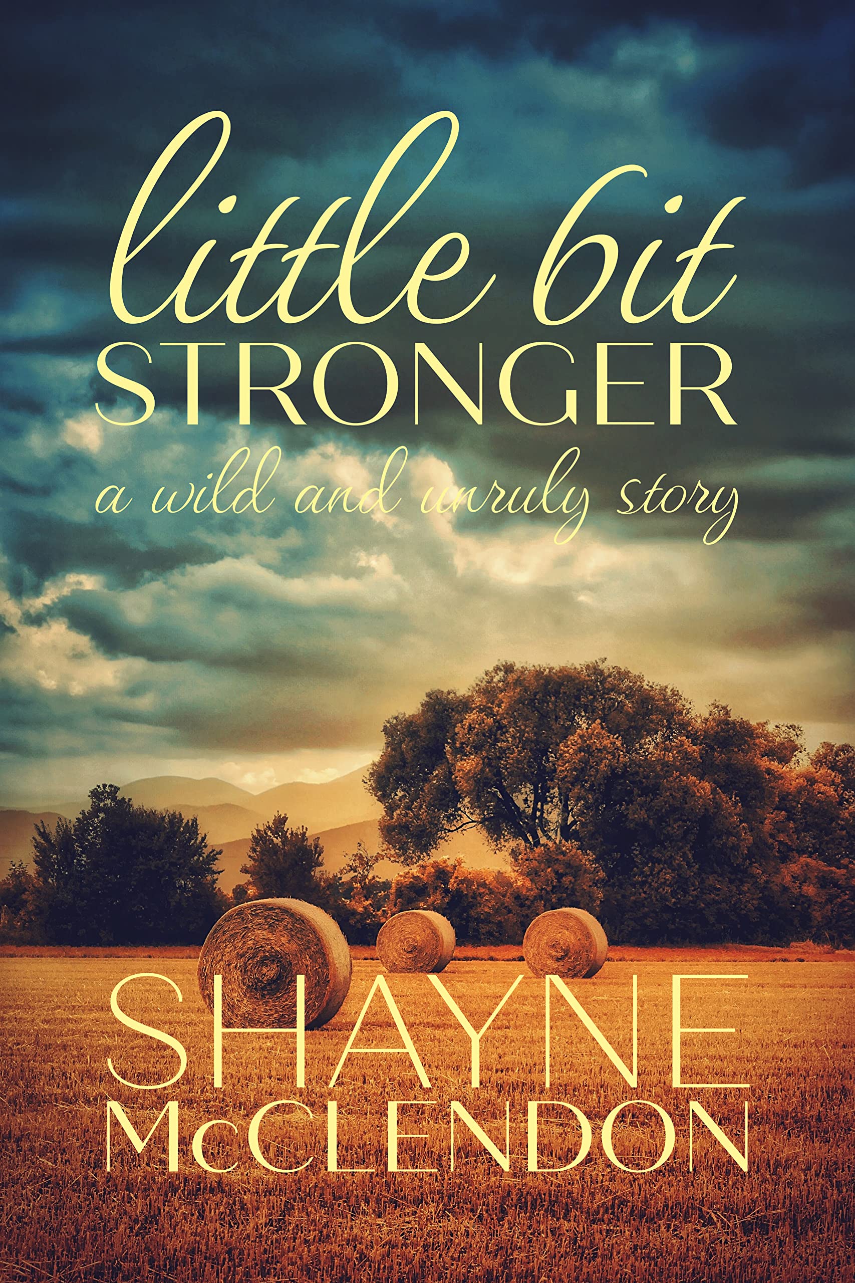 Little Bit Stronger (Wild and Unruly) by Shayne McClendon | Goodreads