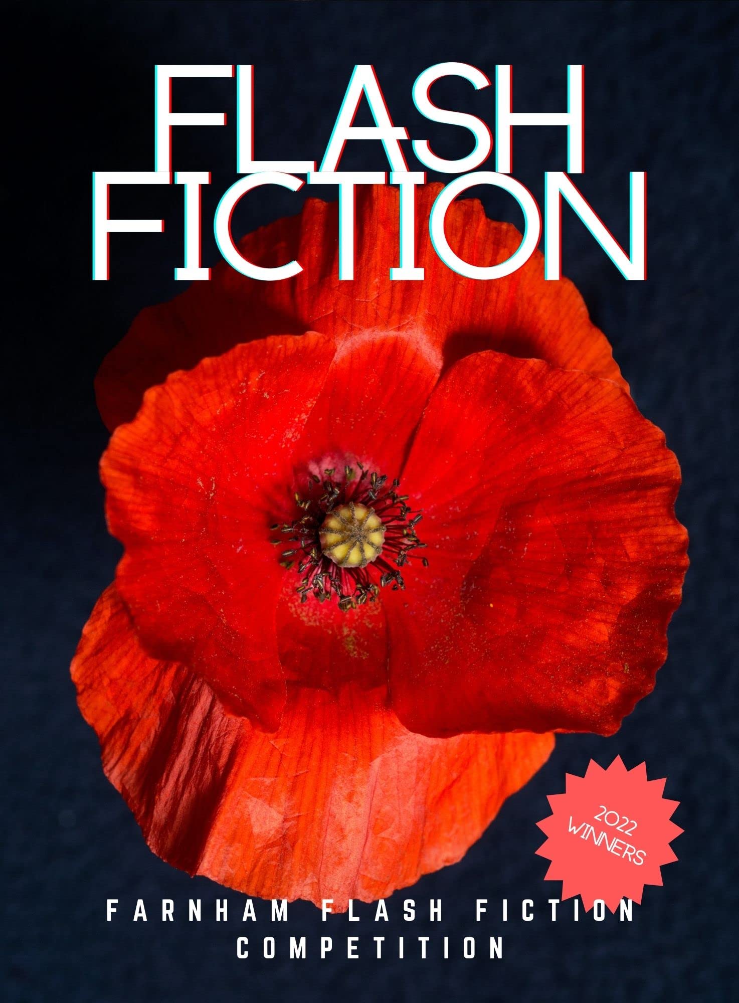Flash Fiction Competition Winners 2022 by COMPETITION WINNERS | Goodreads