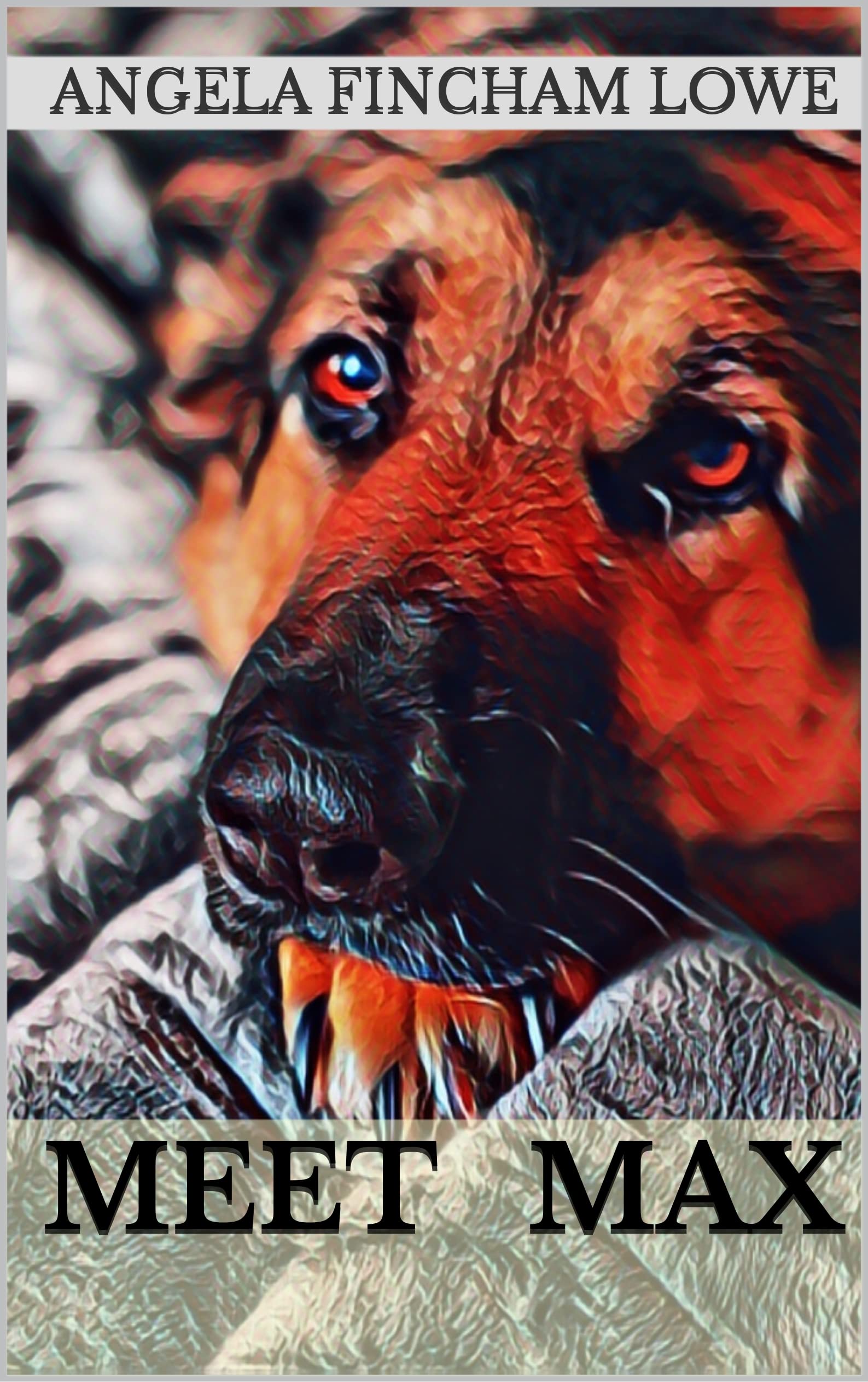 Meet Max by Angela Fincham Lowe | Goodreads