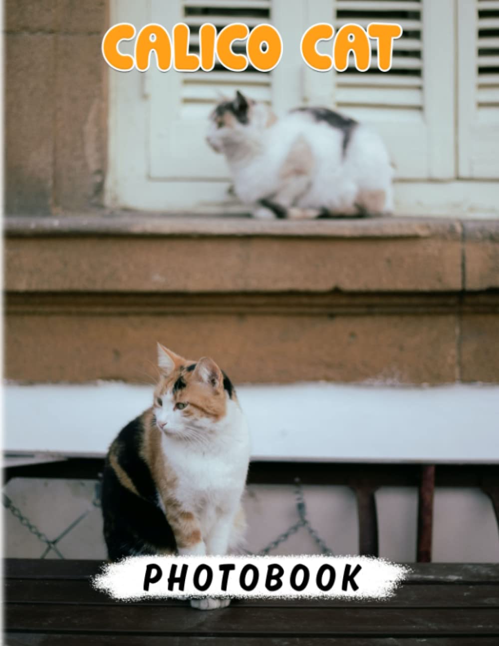Calico Cat Photo Book: Photo Album Collection About Cat With 40 Cute ...