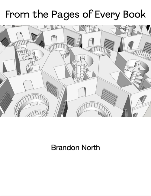 From the Pages of Every Book by Brandon North | Goodreads