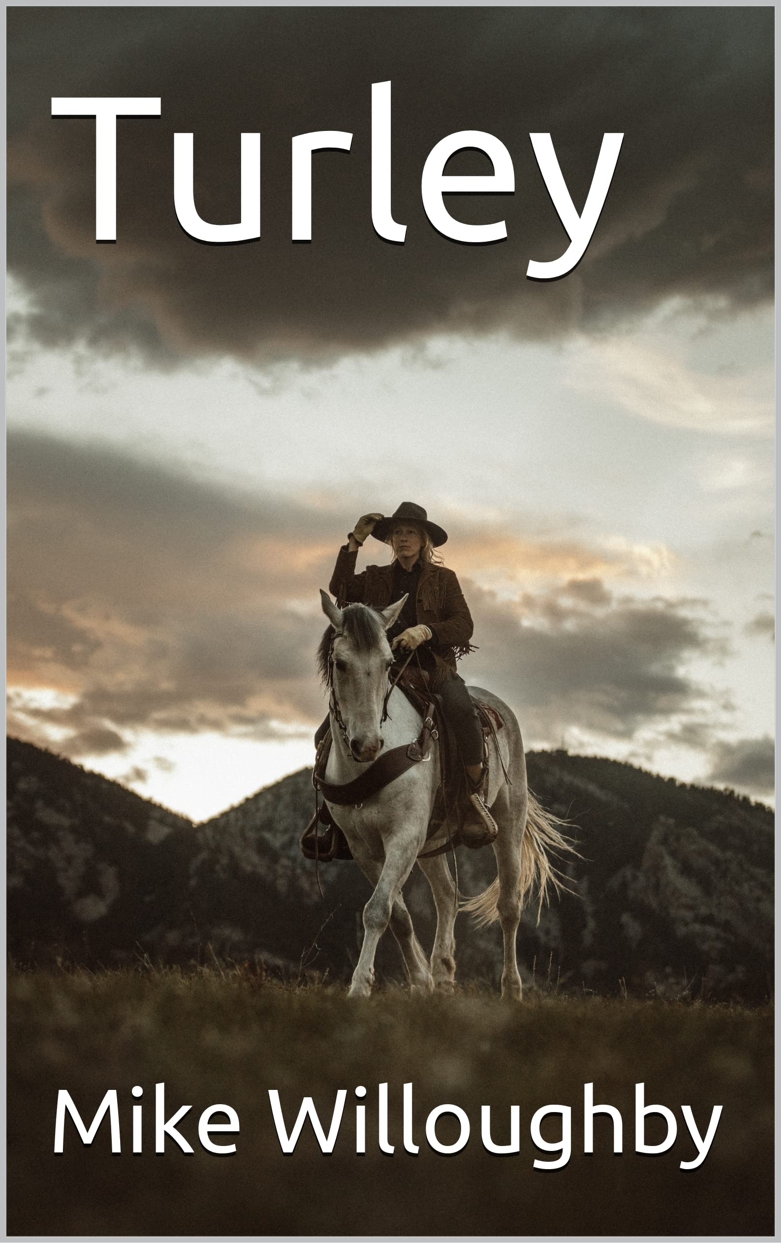Turley by Mike Willoughby | Goodreads