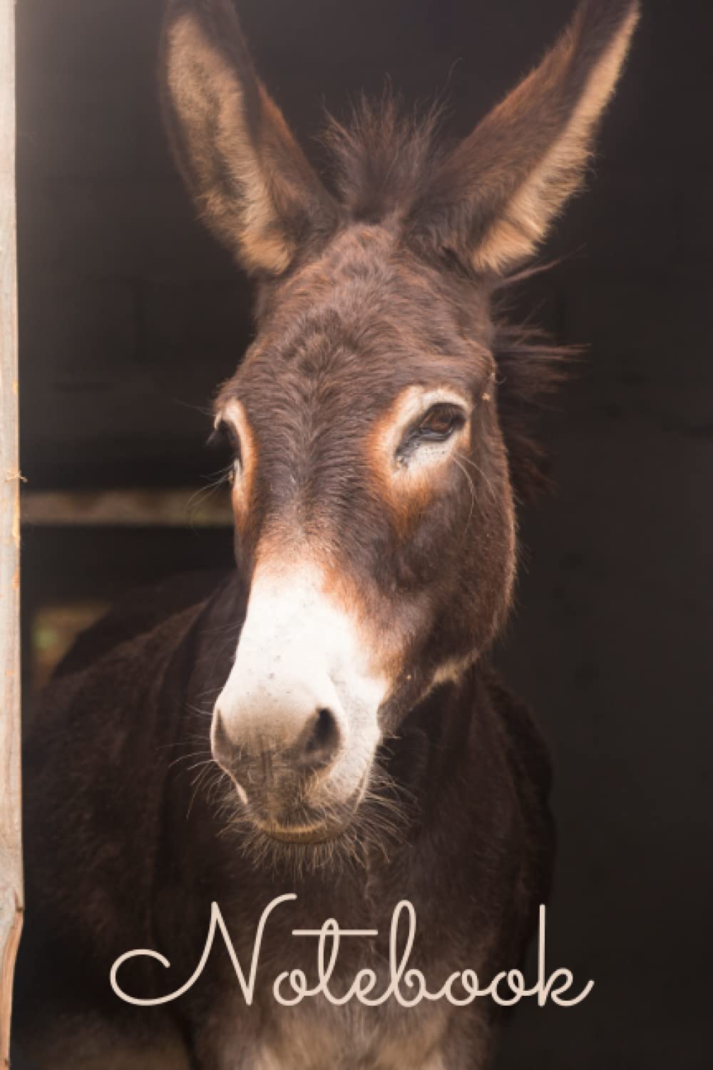 Donkey Notebook: A great gift for Donkey lovers and for anyone who ...
