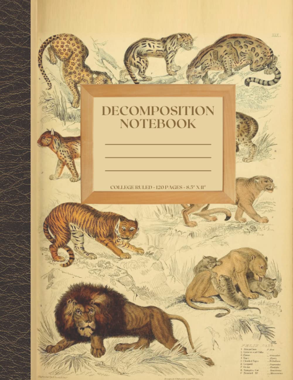 Decomposition Notebook: Vintage Lions, Tigers and Big Cats, Journal for ...