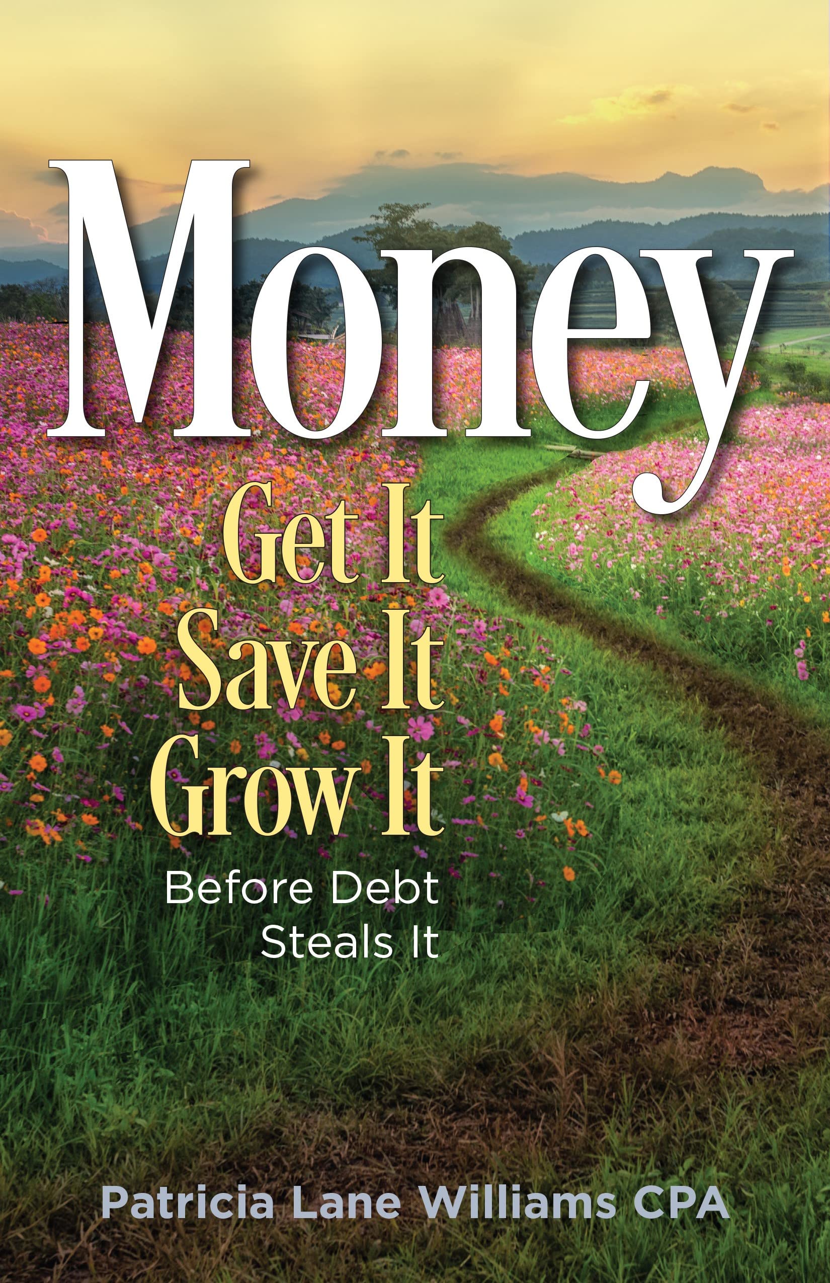 Money : Get It. Save It. Grow It. Before Debt Steals It! by Patricia ...