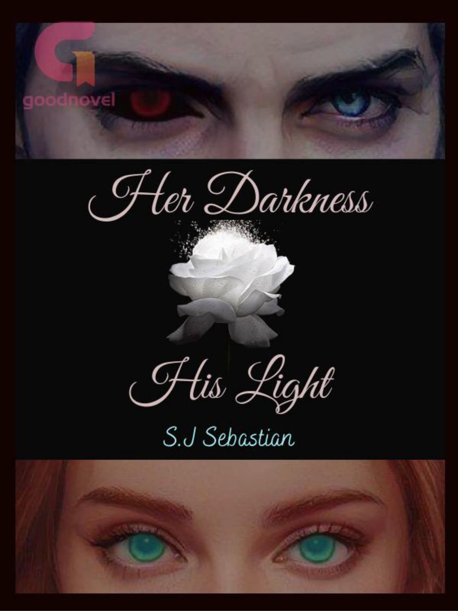 Her Darkness, His Light: Book 3 by S. J Sebastian | Goodreads