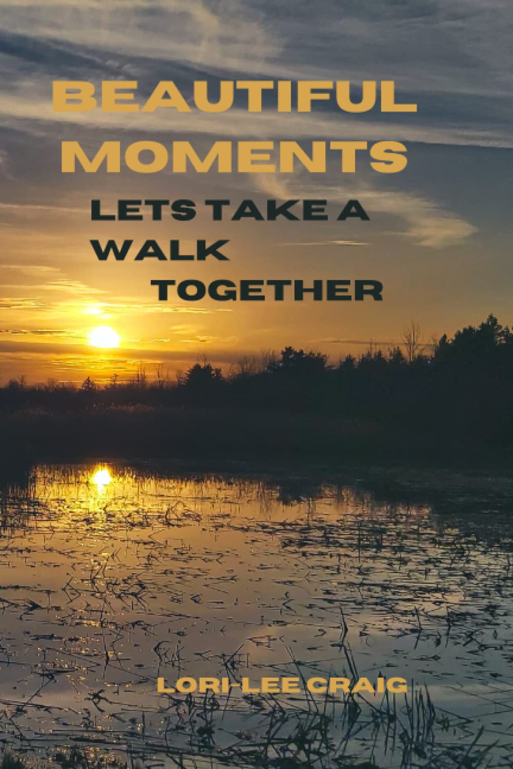 Beautiful Moments Lets take a walk together: A full color picture book ...