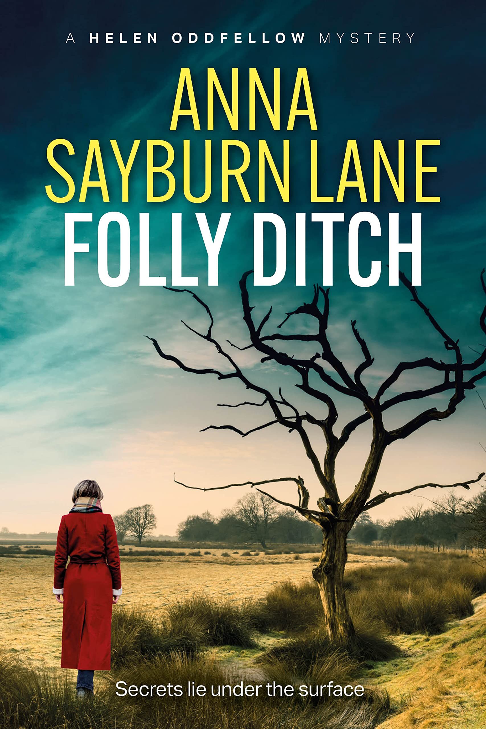 Folly Ditch: A Helen Oddfellow literary mystery by Anna Sayburn Lane ...