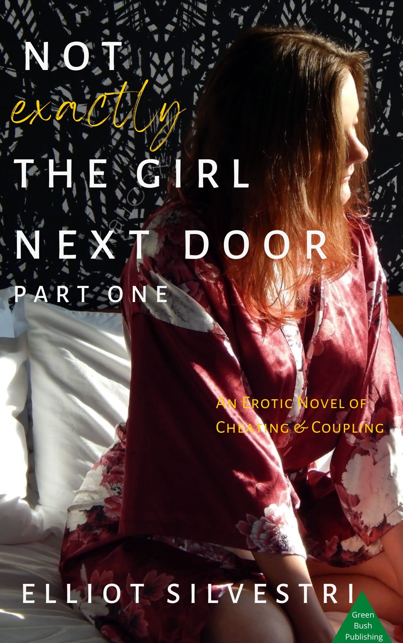 Not Exactly the Girl Next Door Part One: An Erotic Novel of Cheating ...