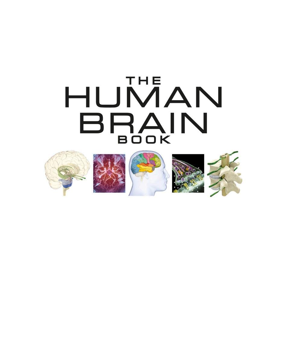 The Human Brain Book: Picture books for children by Mary Jordan | Goodreads