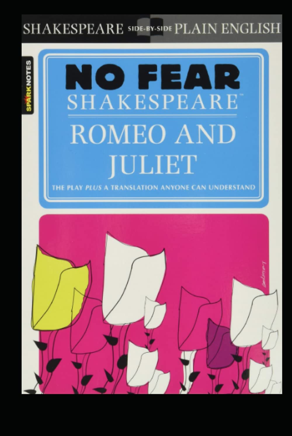 Romeo and Juliet (No Fear Shakespeare) Illustrated: romeo and juliet by ...