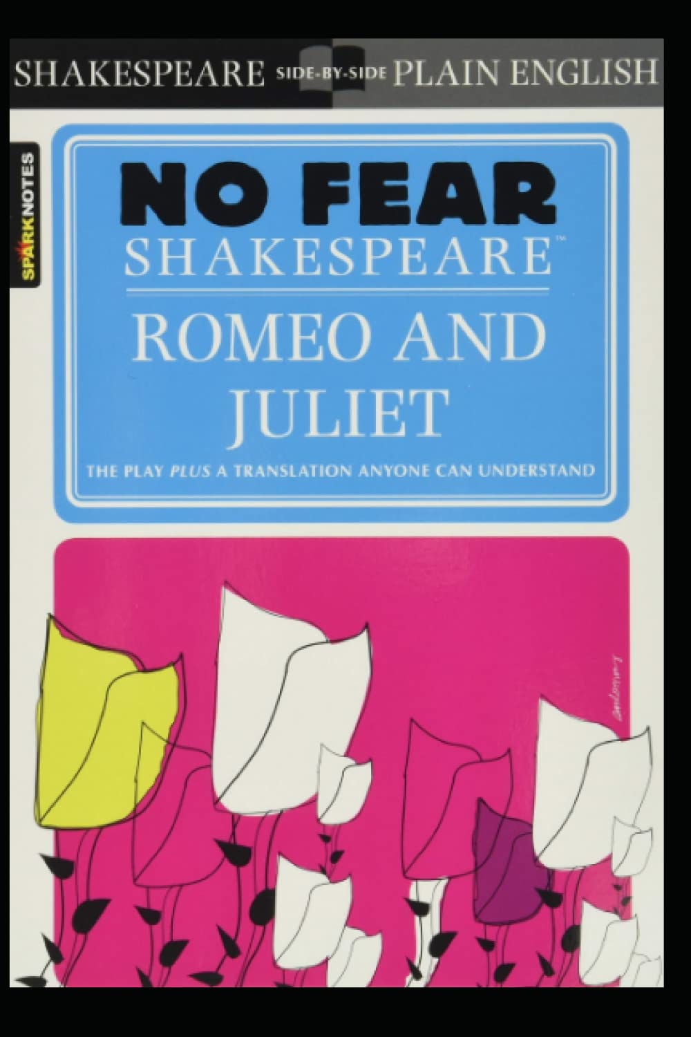 Romeo and Juliet (No Fear Shakespeare) Illustrated: romeo and juliet by ...