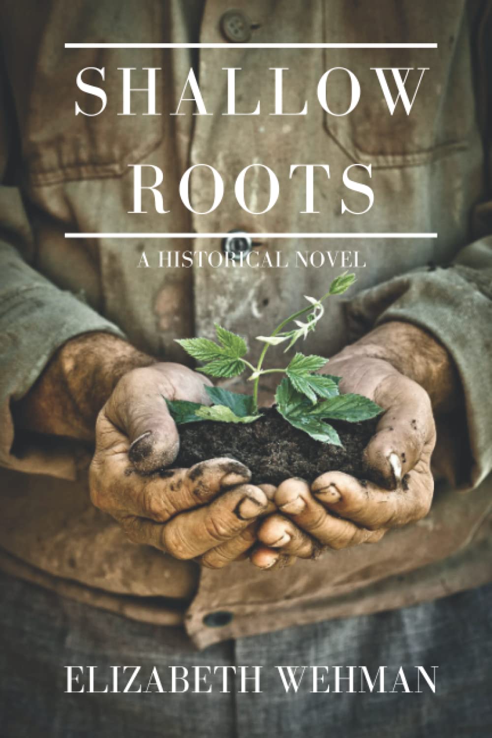 shallow-roots-the-newburg-chronicles-by-elizabeth-wehman-goodreads