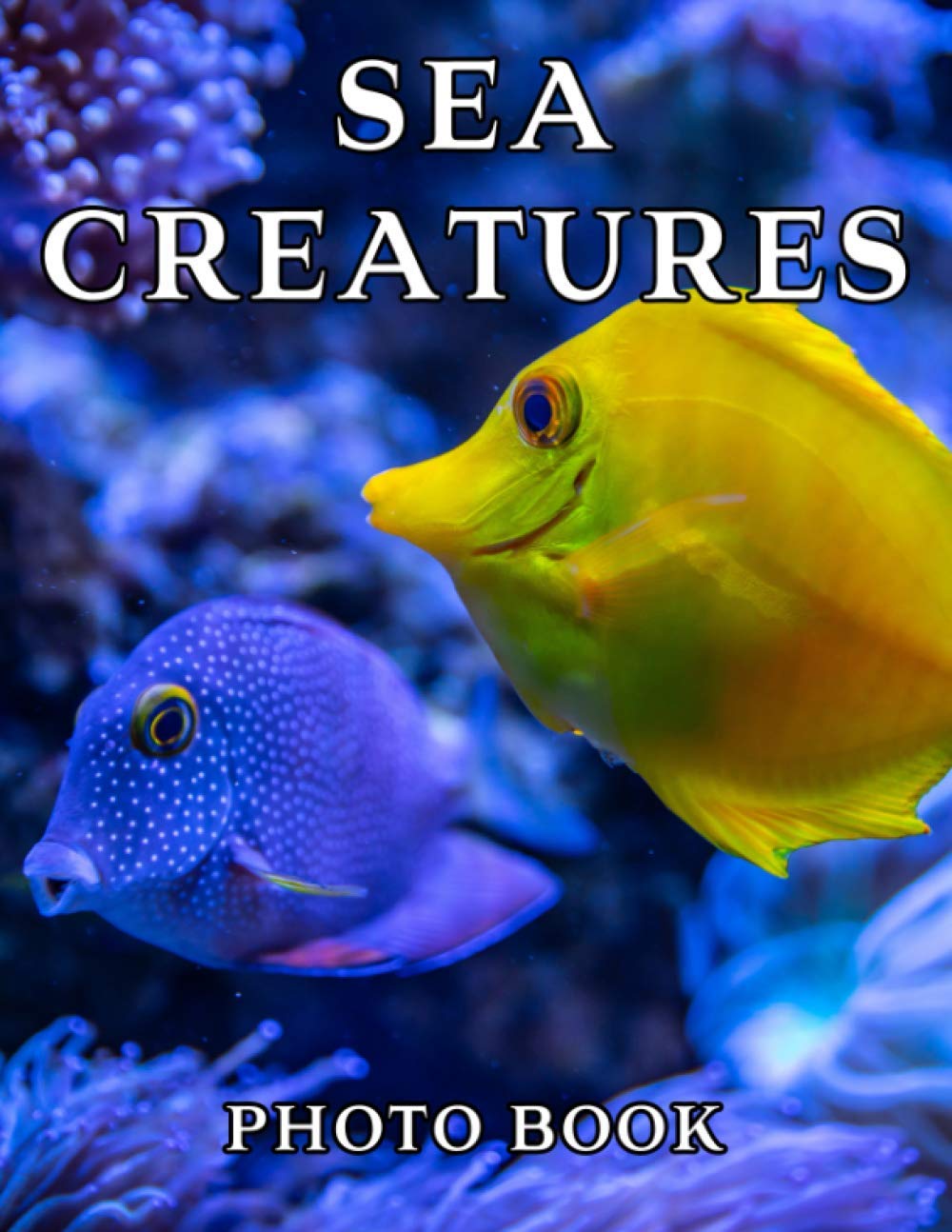 Sea Creatures Photo Book: Sea Creatures Adult Photo Book Image Books by ...