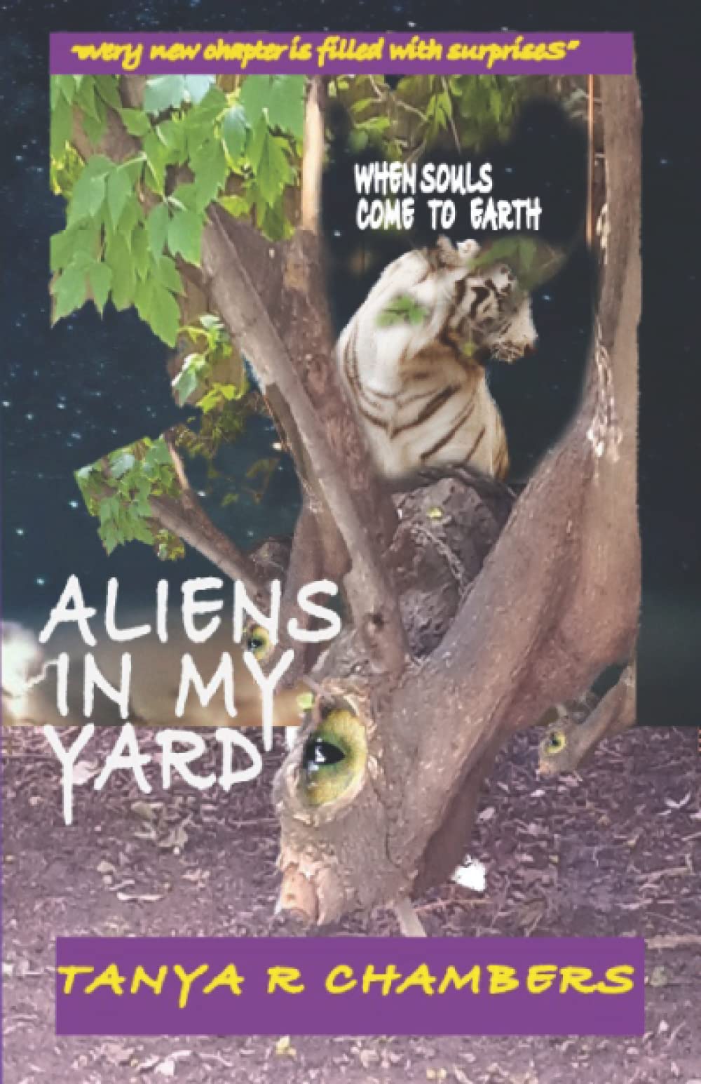 ALIENS IN MY YARD: WHEN SOULS COME TO EARTH by Tanya R Chambers | Goodreads