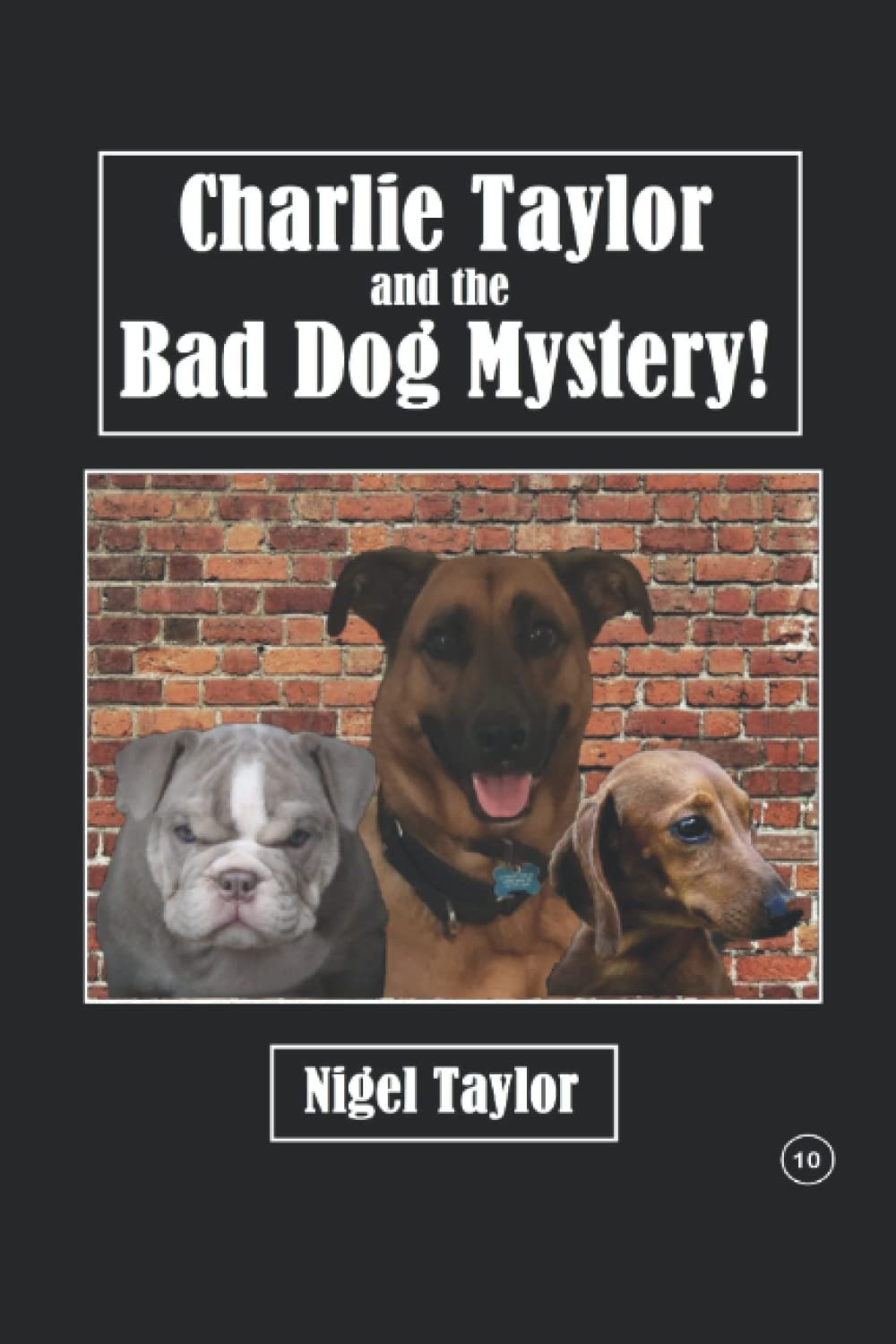 Charlie Taylor and the bad dog mystery! by Nigel Taylor | Goodreads