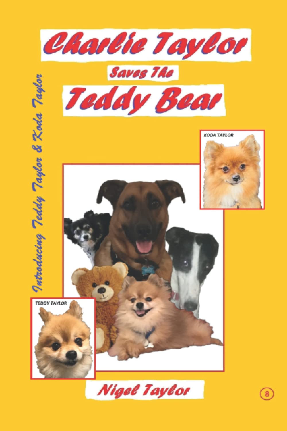 Charlie Taylor saves the Teddy Bear by Nigel Taylor | Goodreads