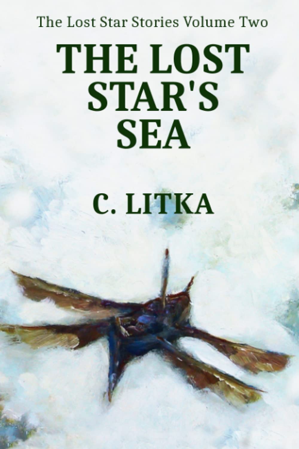 The Lost Star's Sea: The Lost Star Stories Volume Two by C. Litka ...