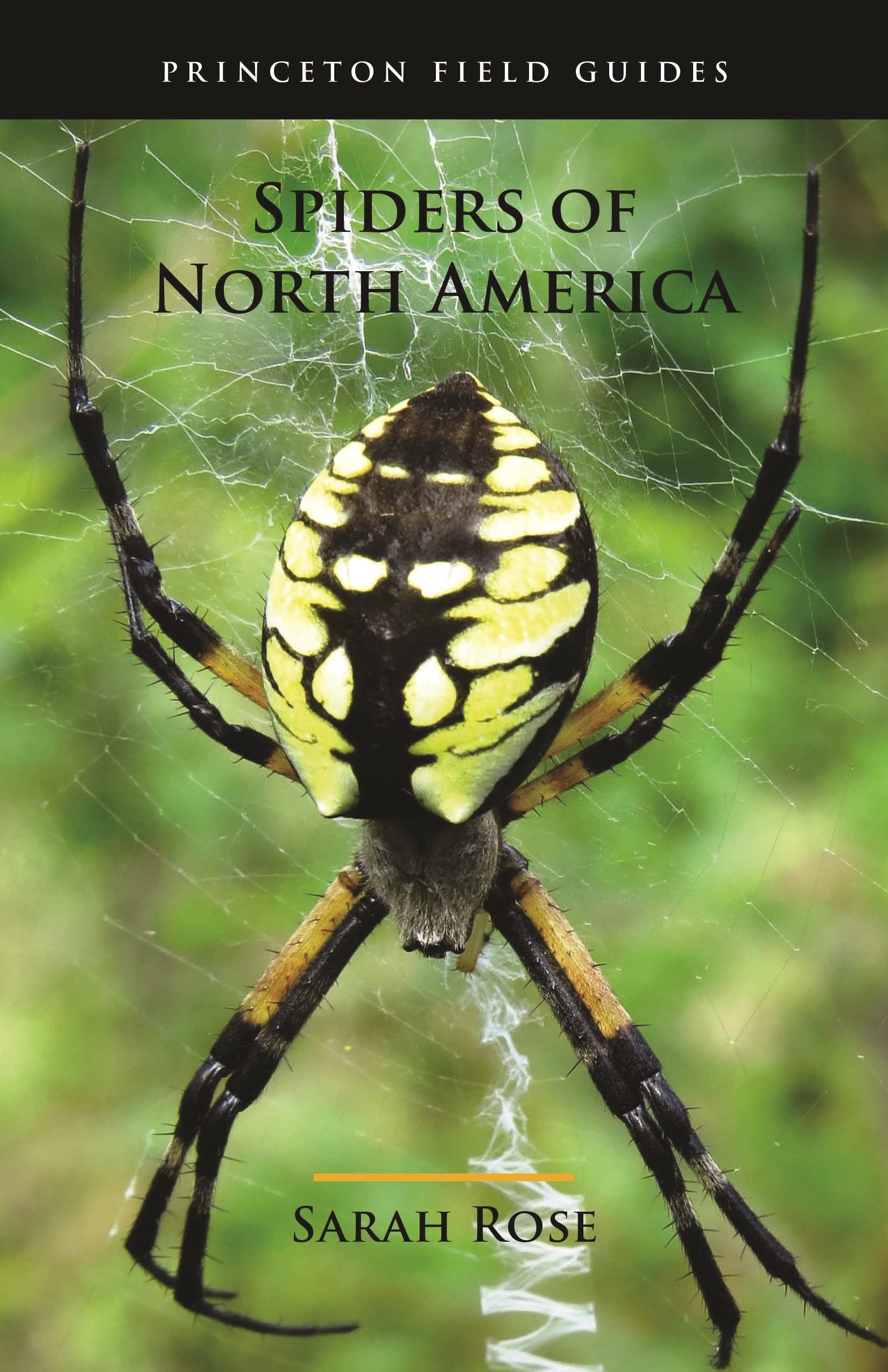 Spiders of North America (Princeton Field Guides) by Sarah Rose | Goodreads