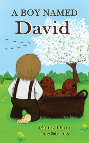 A Boy Named David (Civil War Orphan Series) by Nancy Dane | Goodreads