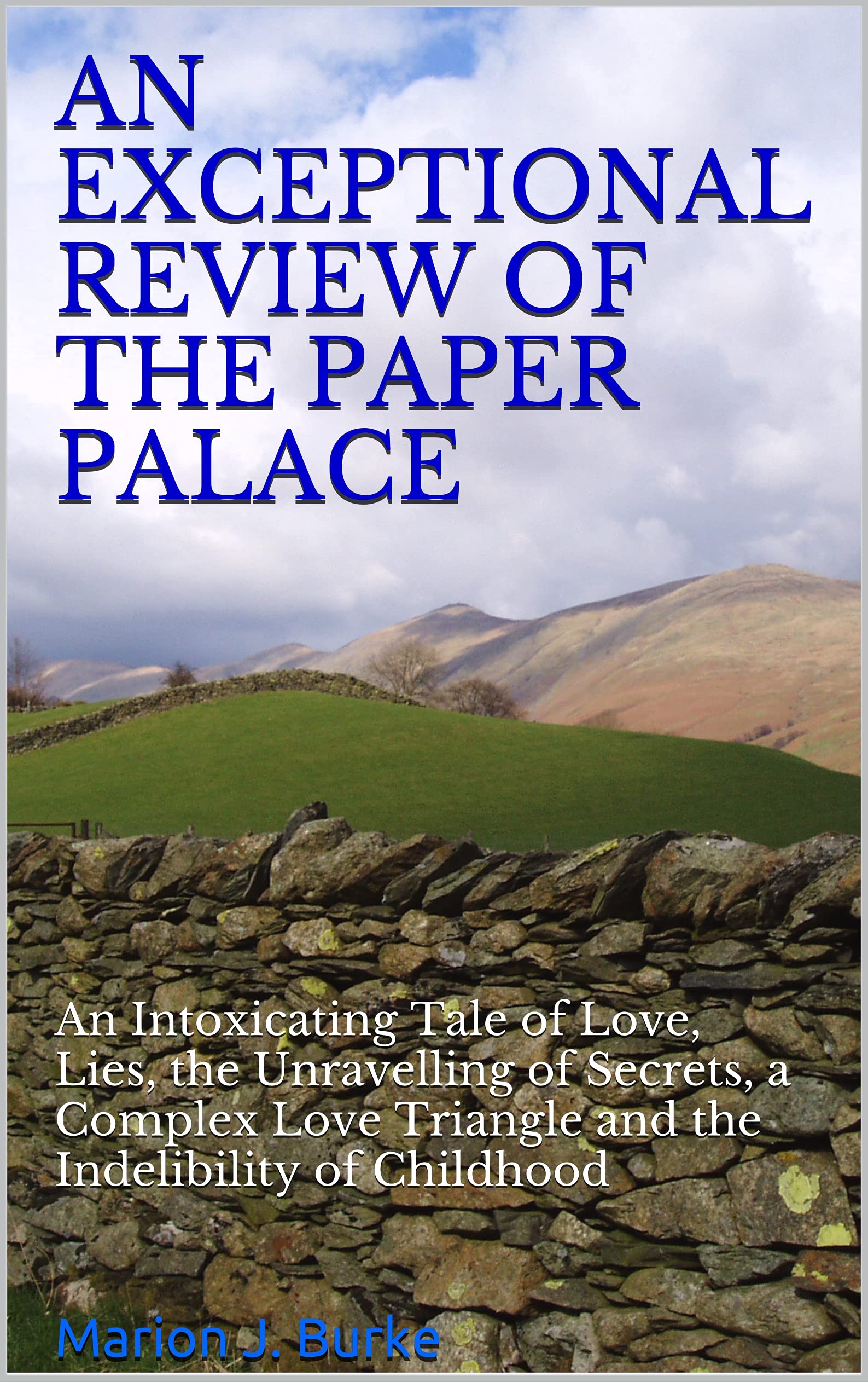 AN EXCEPTIONAL REVIEW OF THE PAPER PALACE: An Intoxicating Tale of Love ...
