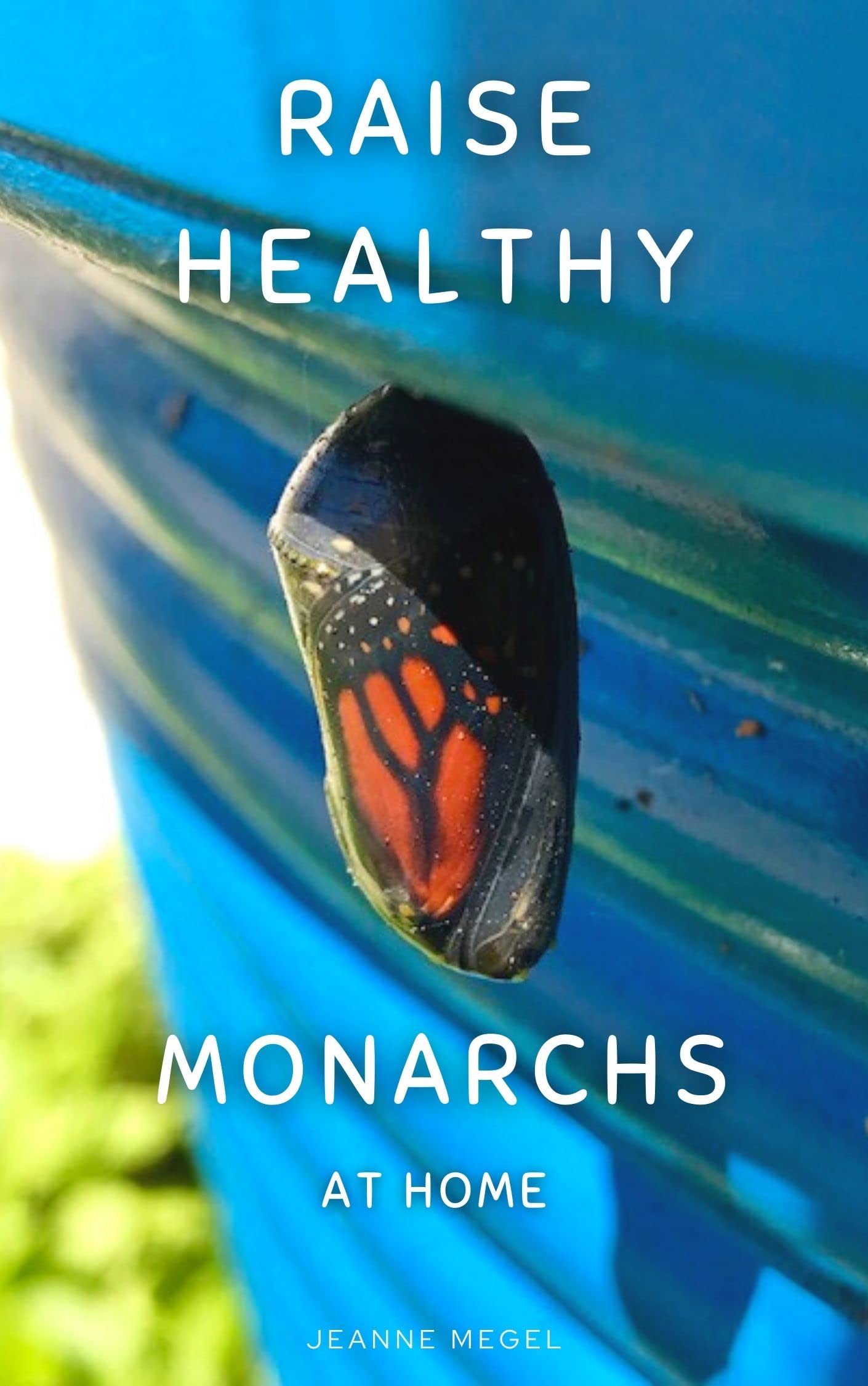 Raise Healthy Monarchs At Home by Jeanne Megel | Goodreads