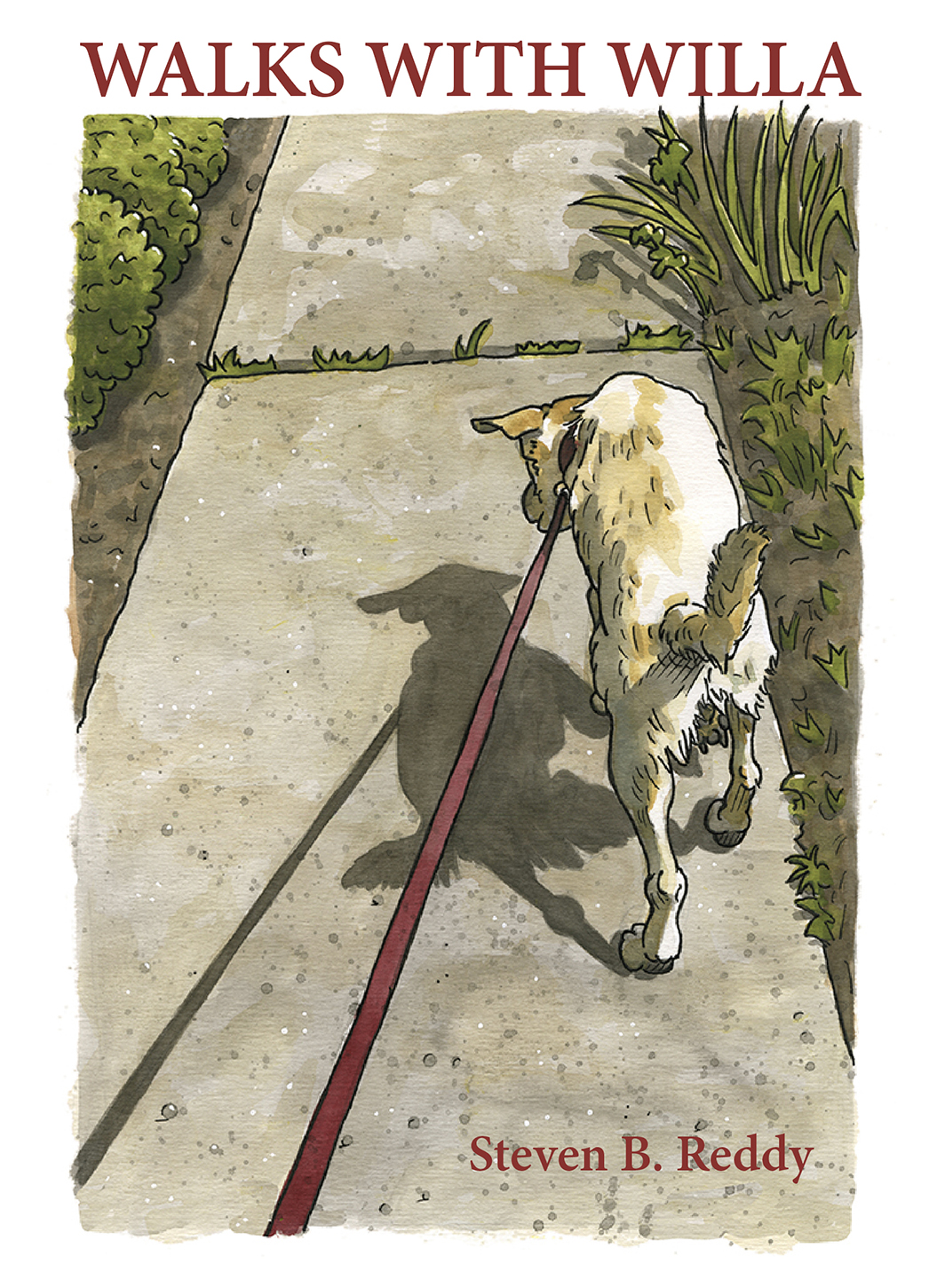 Walks With Willa: A Love Story by Steven Reddy | Goodreads