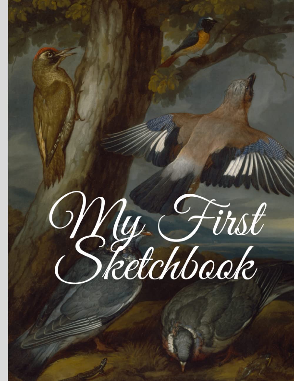My First Sketchbook: Stunning Abstract Cover, Large Notebook for ...