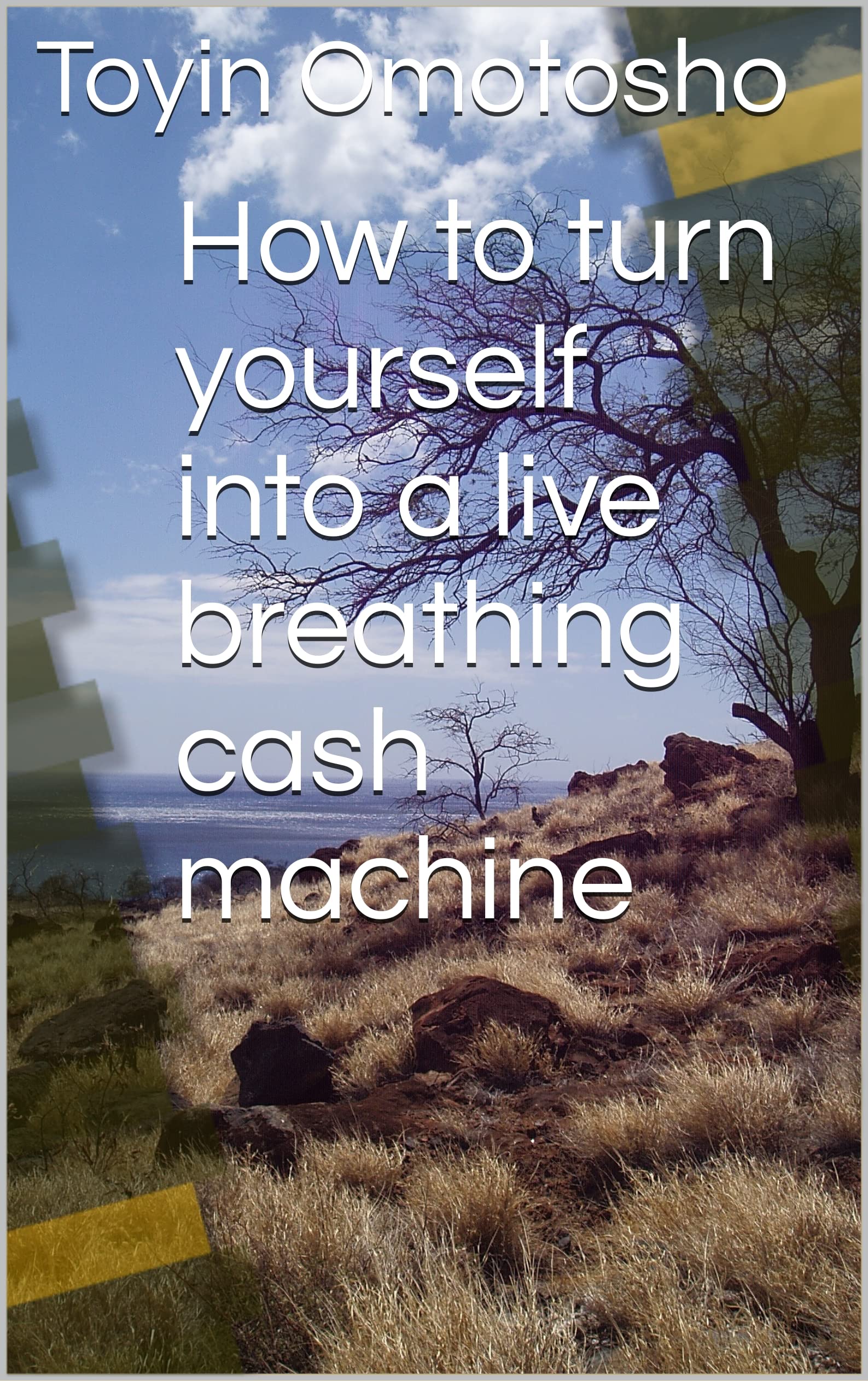 How to turn yourself into a live breathing cash machine by Toyin ...