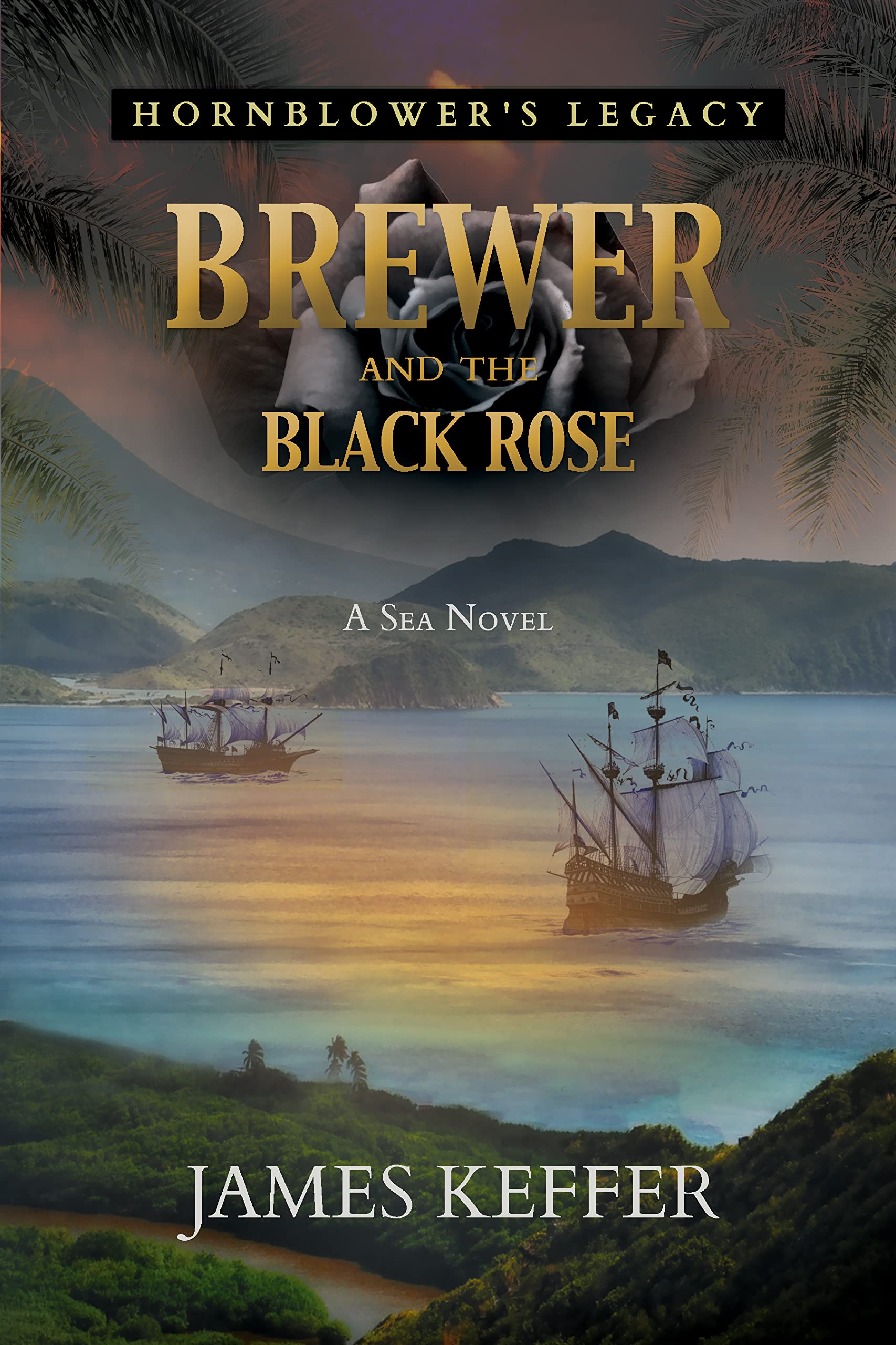 Brewer and The Black Rose by James Keffer | Goodreads