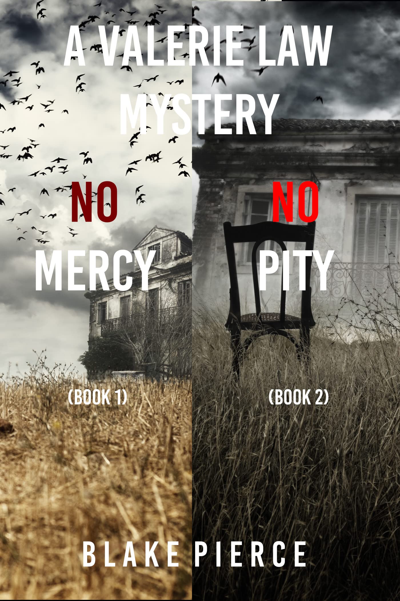 A Valerie Law FBI Suspense Thriller Bundle: No Mercy (#1) and No Pity ...