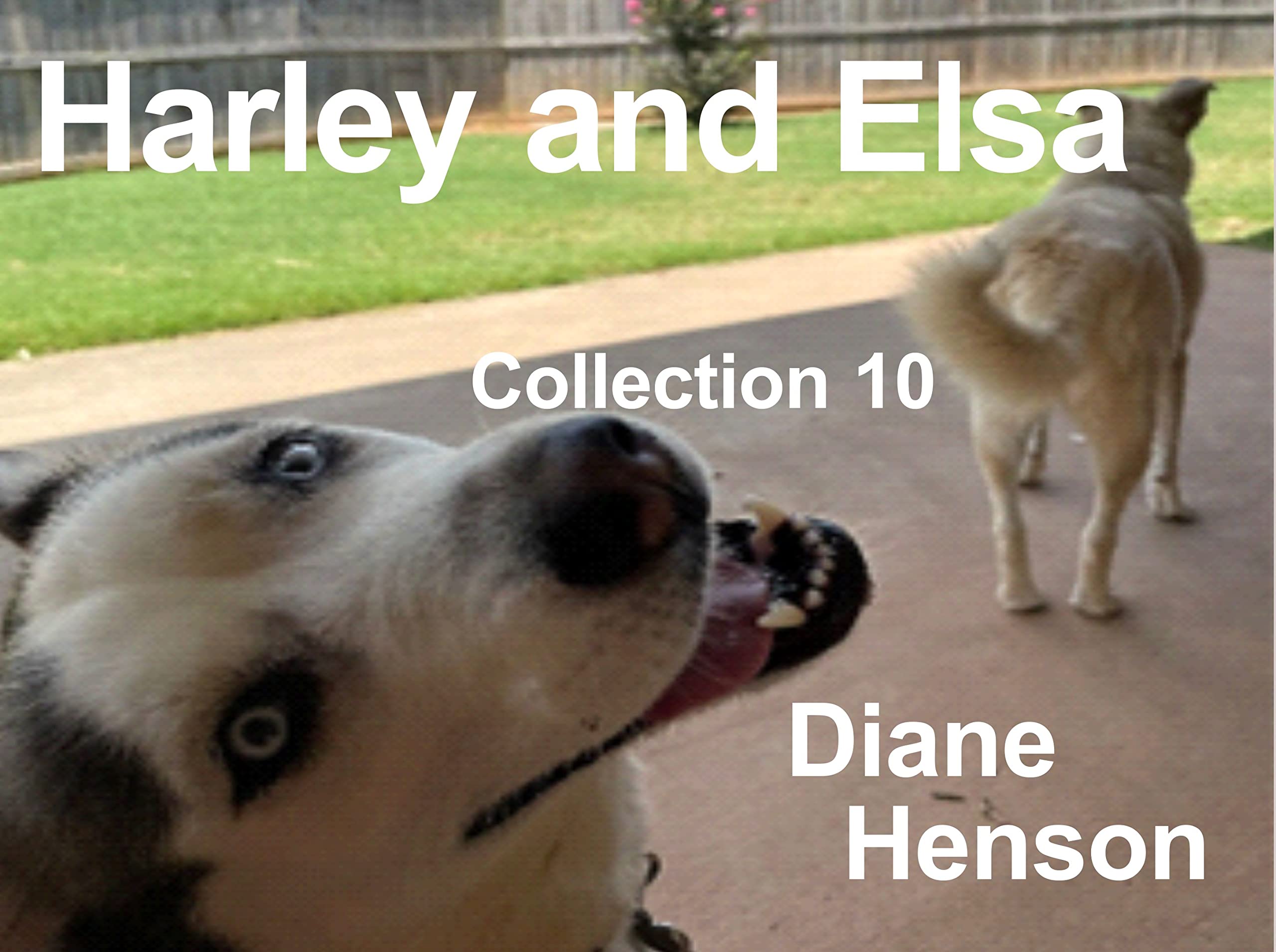 Harley and Elsa Ten by Diane Henson | Goodreads
