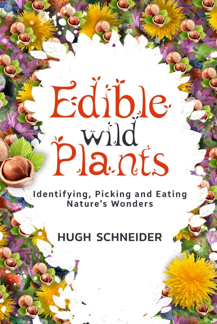 Edible Wild Plants: Identifying, picking, and eating nature's wonders ...