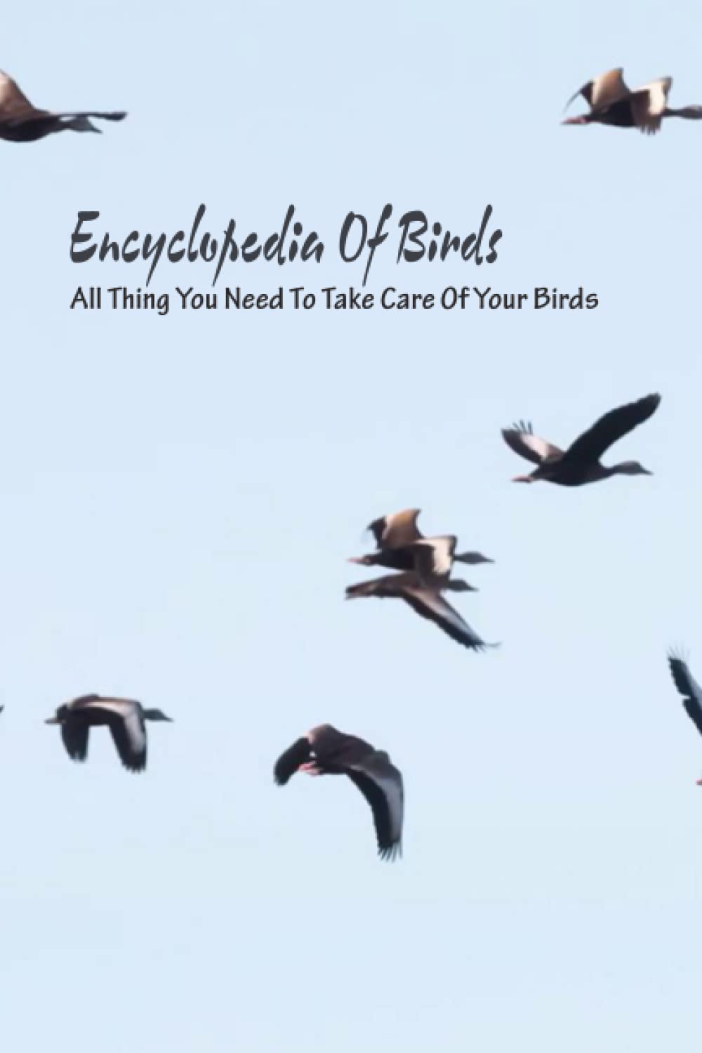 Encyclopedia Of Birds: All Thing You Need To Take Care Of Your Birds by ...