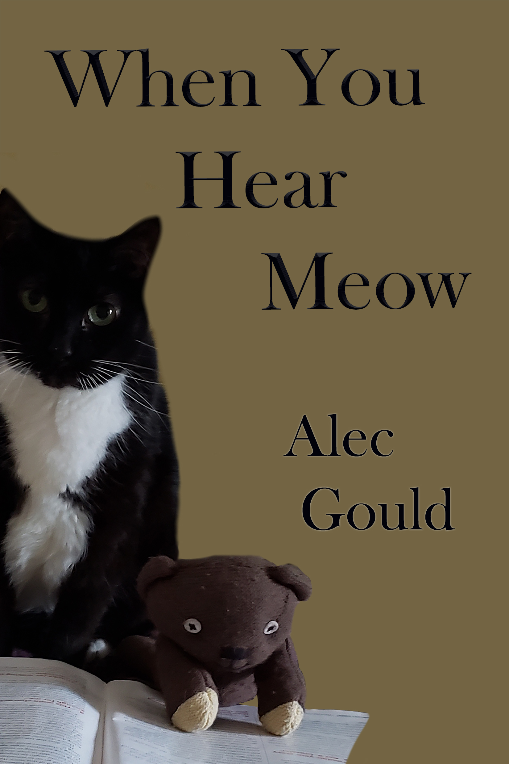 When You Hear Meow by Alec Gould | Goodreads
