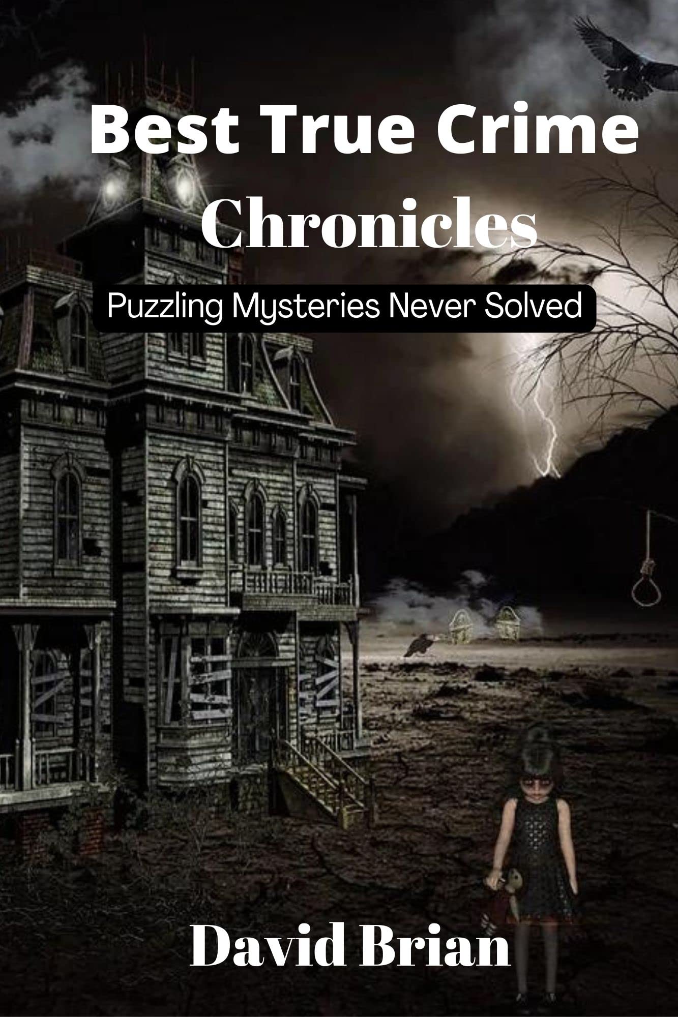 Best True Crime Chronicles: Puzzling Mysteries Never Solved by David ...
