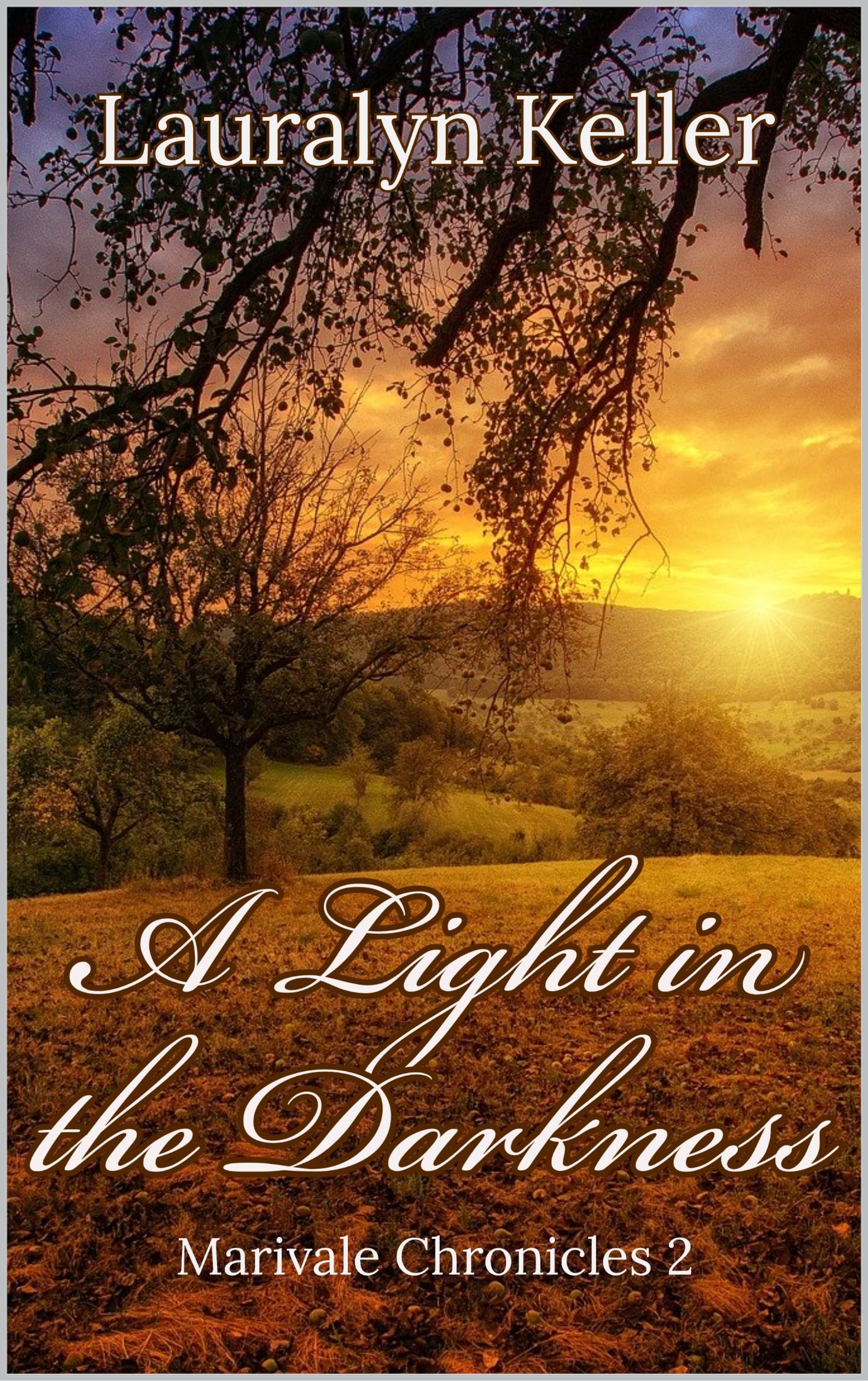 A Light in the Darkness by Lauralyn Keller | Goodreads