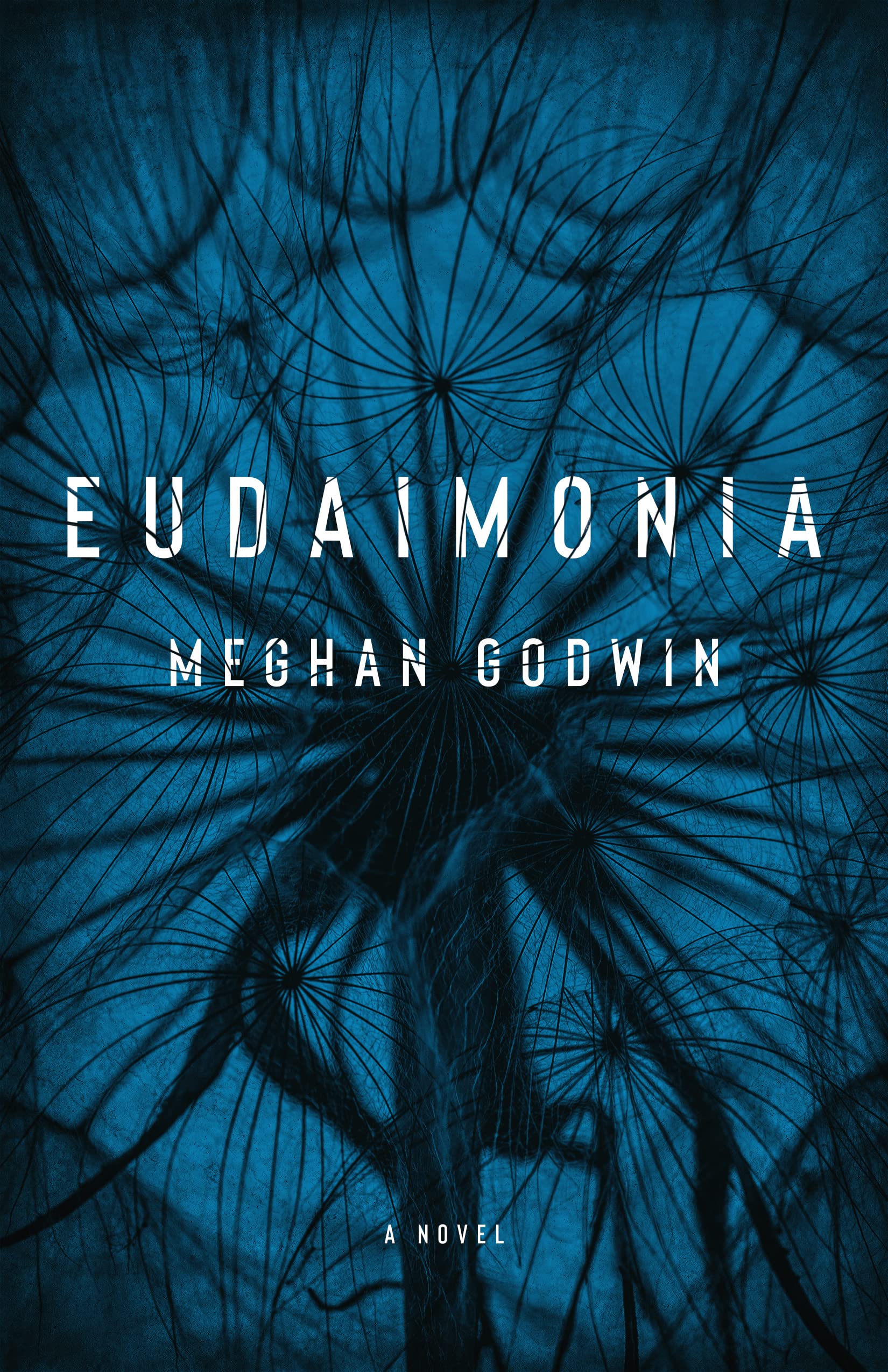 Eudaimonia by Meghan Godwin | Goodreads