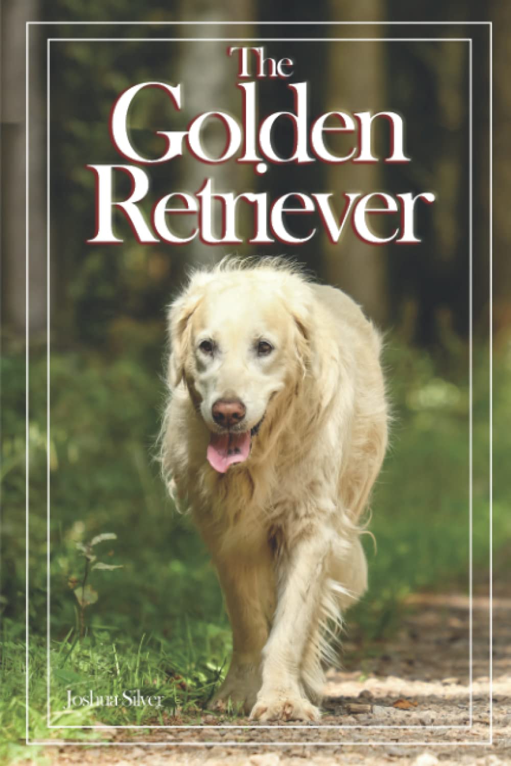 The Golden Retriever: An Owners Dog Care Book about: Buying, Owning ...