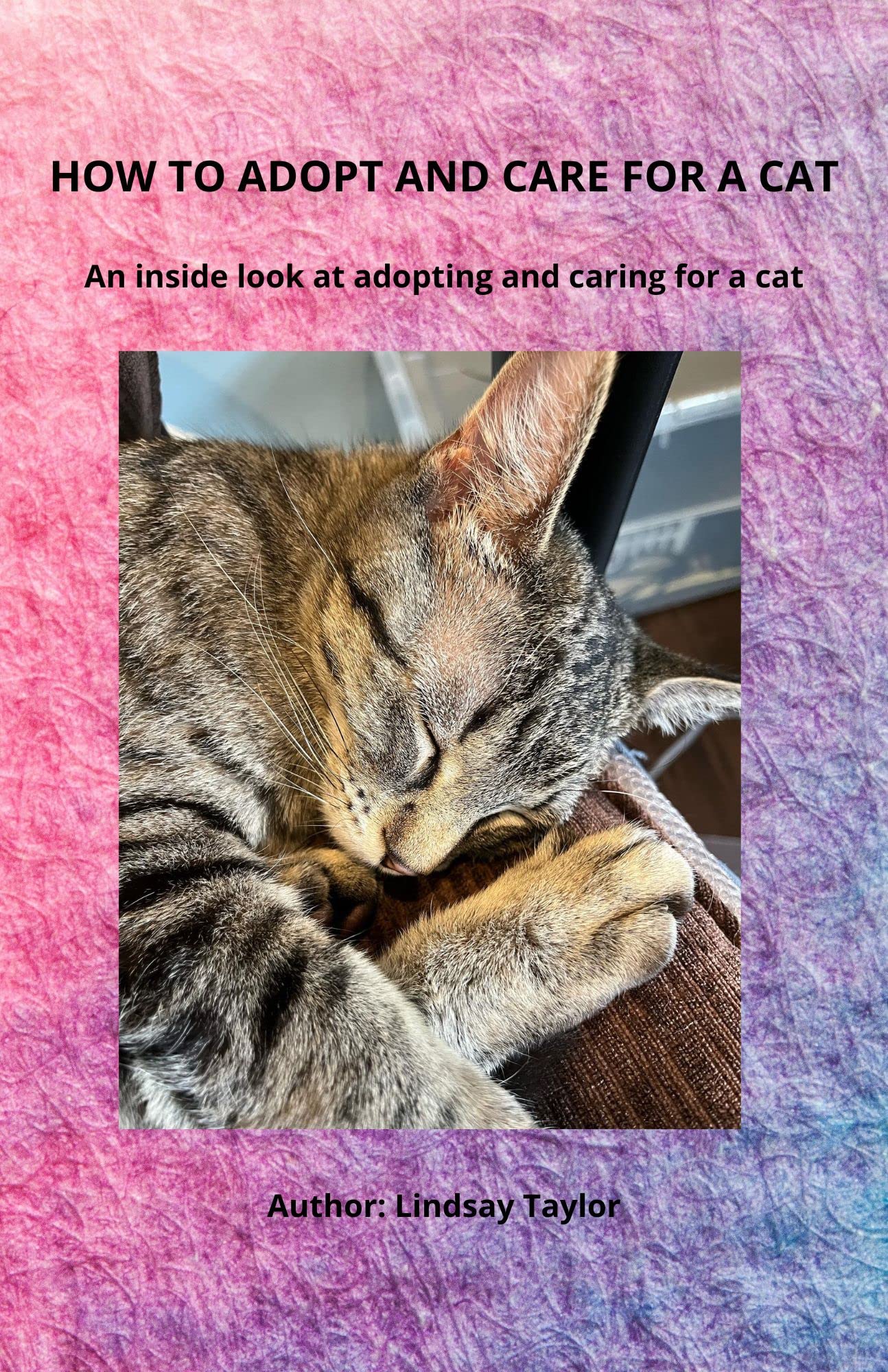 How to Adopt and Care for a Cat: An inside look at adopting and caring ...