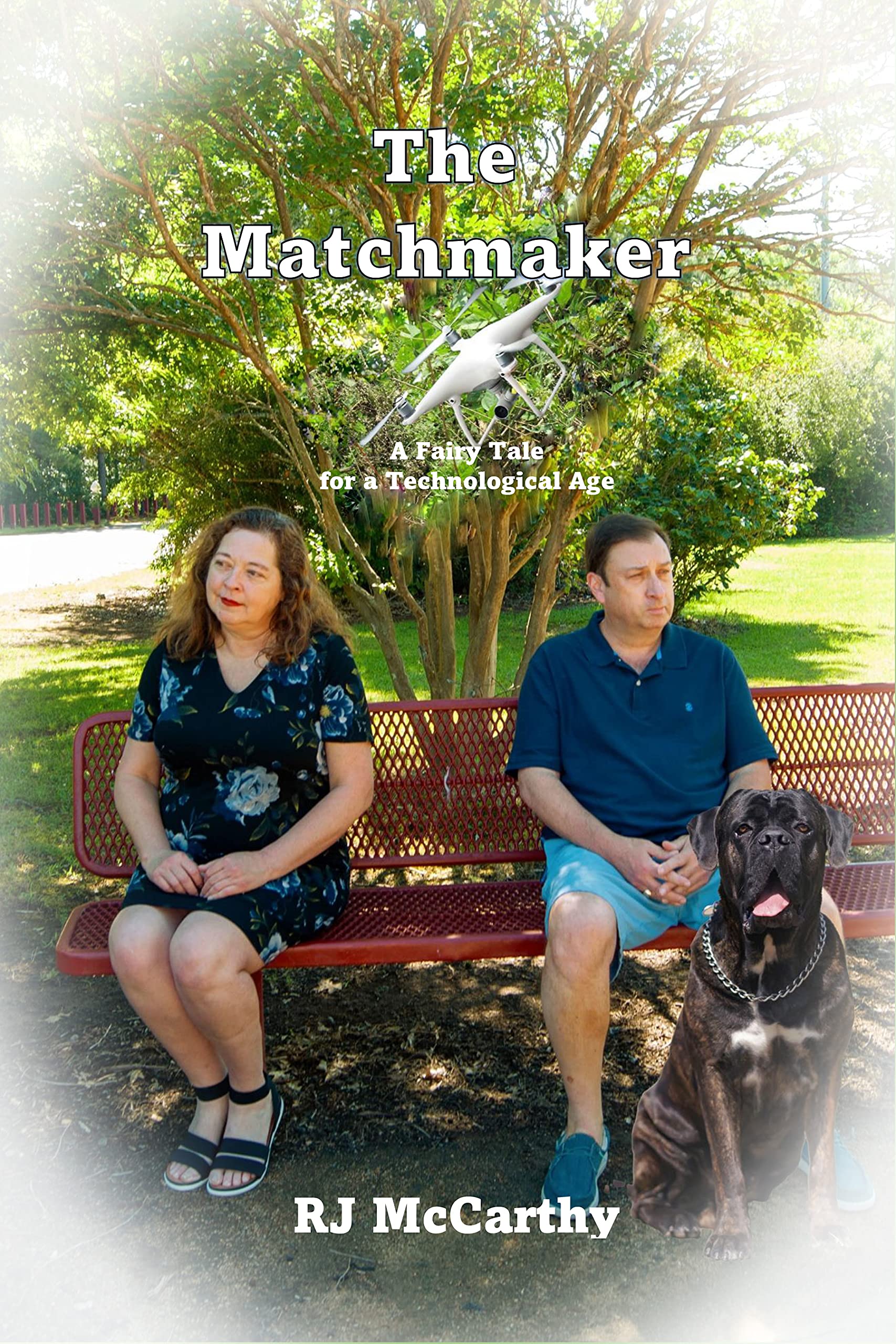 The Matchmaker: A Fairy Tale for a Technological Age by RJ McCarthy ...