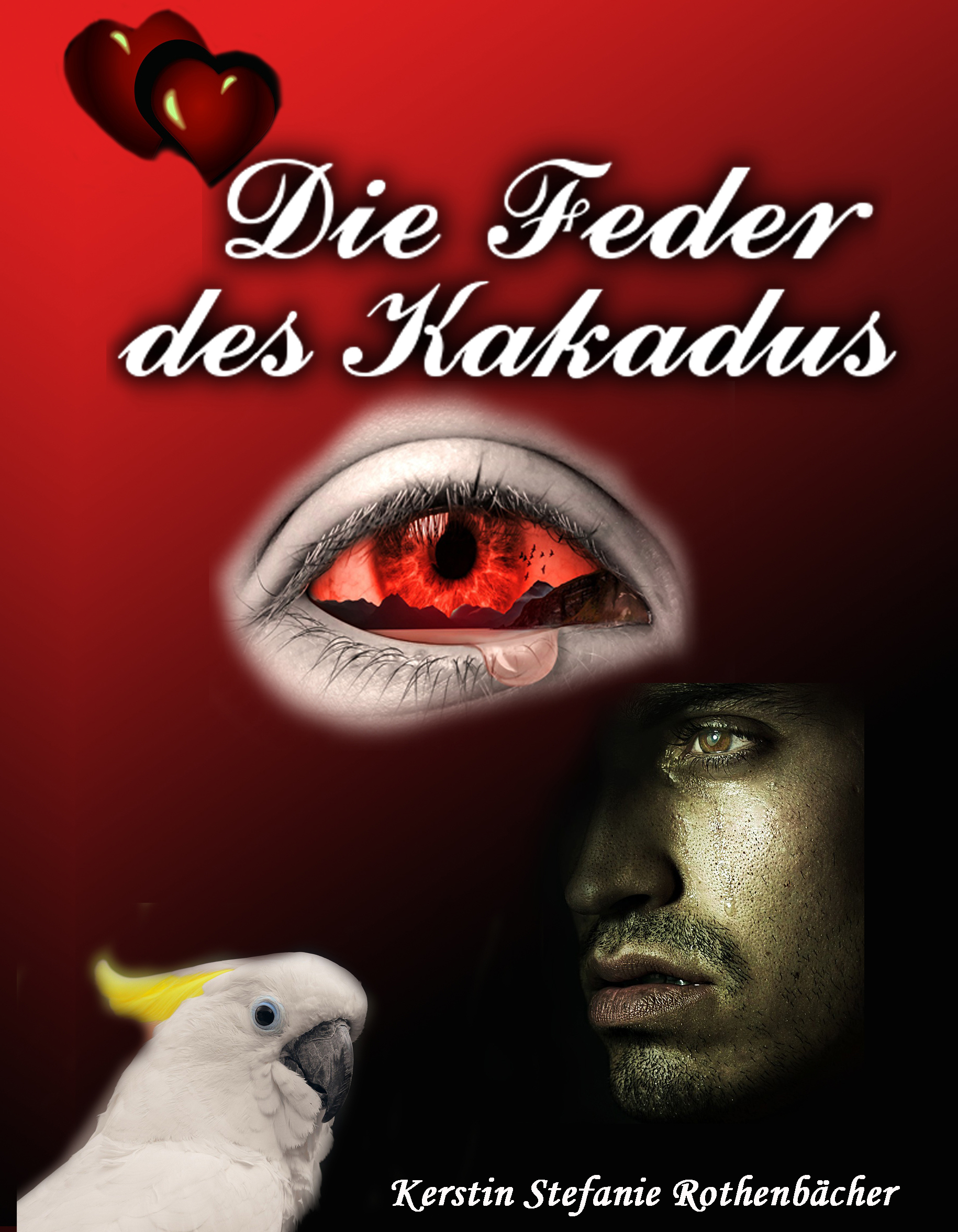 Die Feder des Kakadus by Kerstin Stefanie Rothenbächer | Goodreads