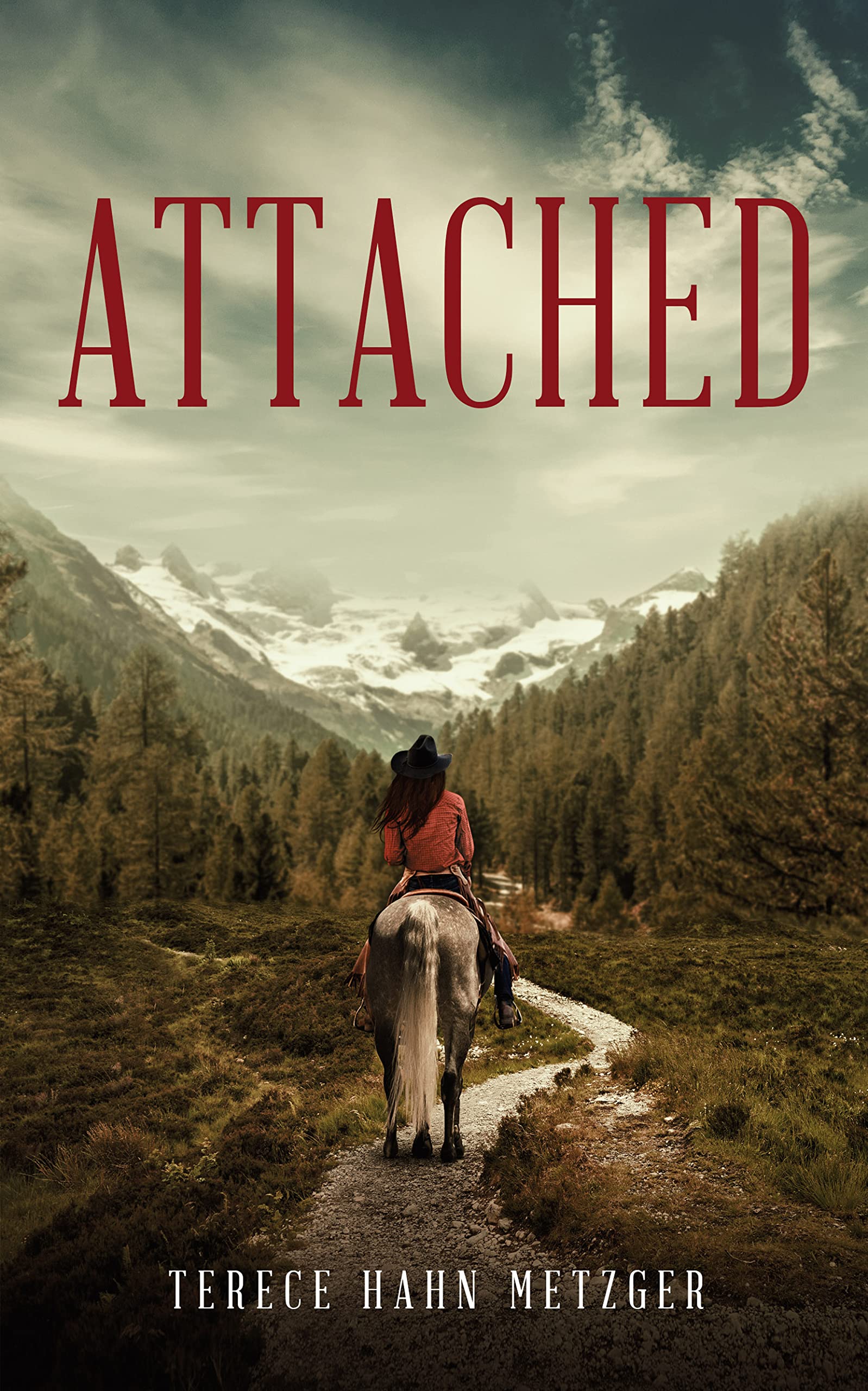 Attached by Terece Hahn Metzger | Goodreads