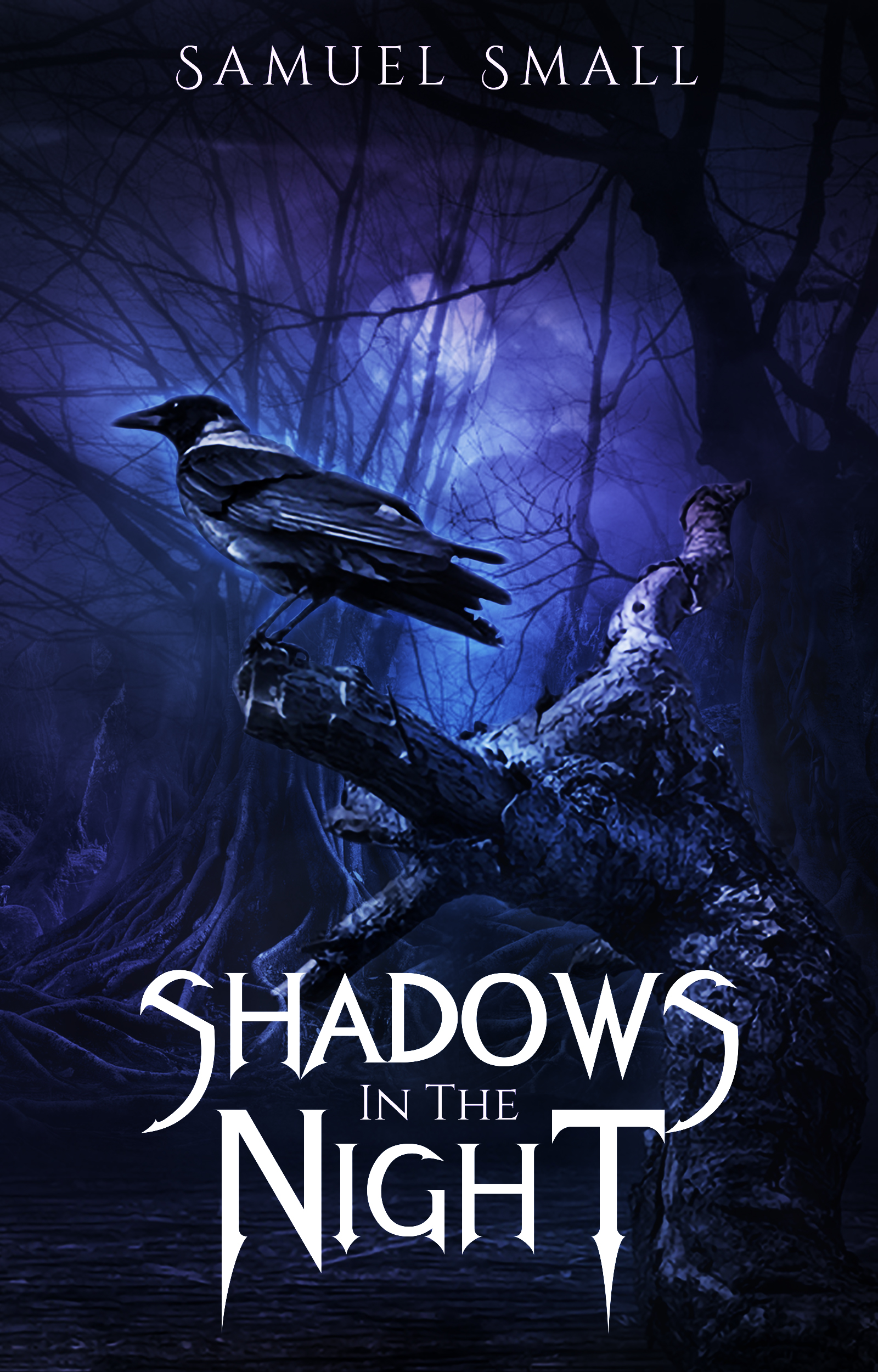 Shadows in the Night: A Horror Short Story Collection by Samuel Small ...